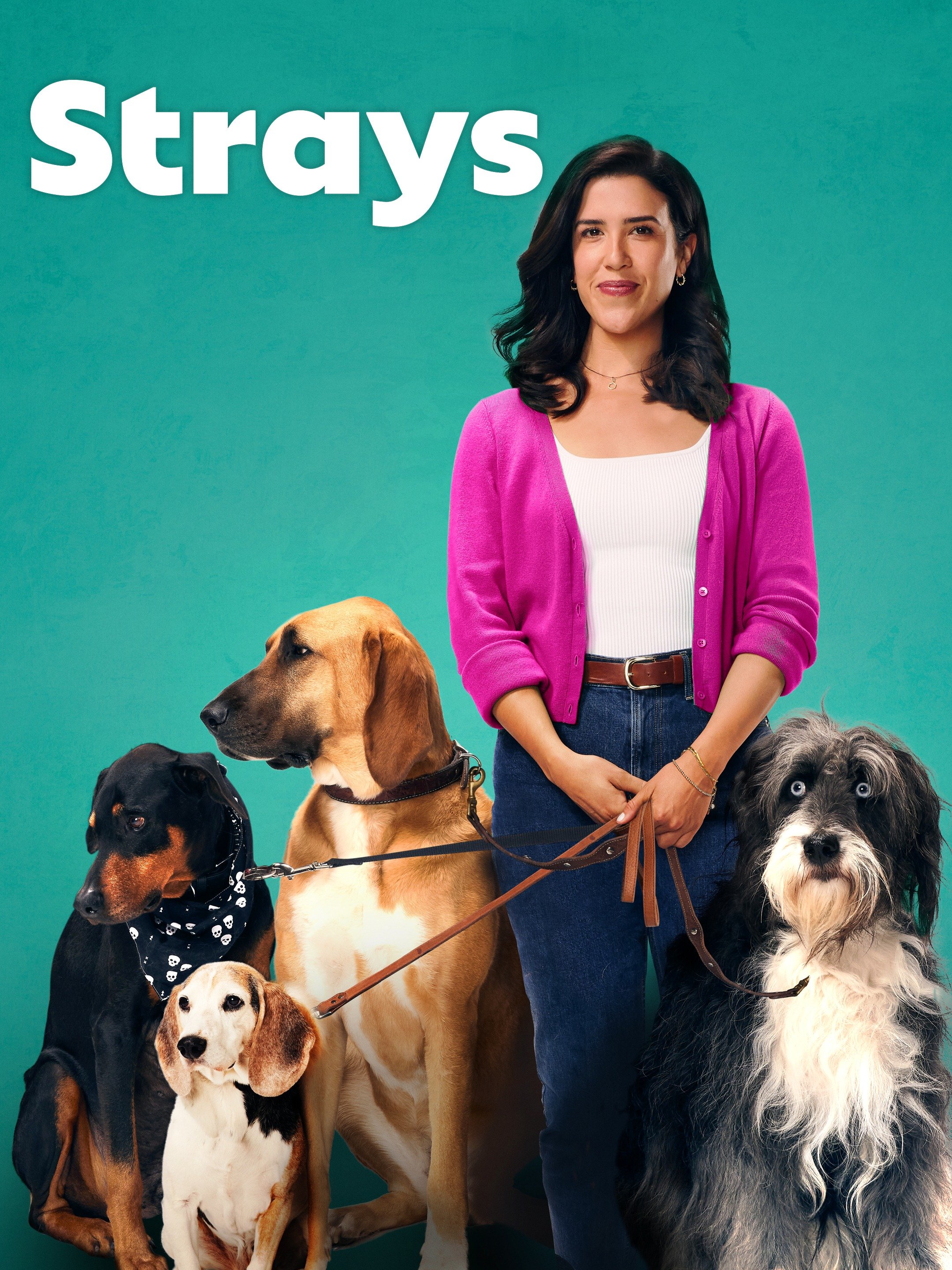 Strays - Rotten Tomatoes