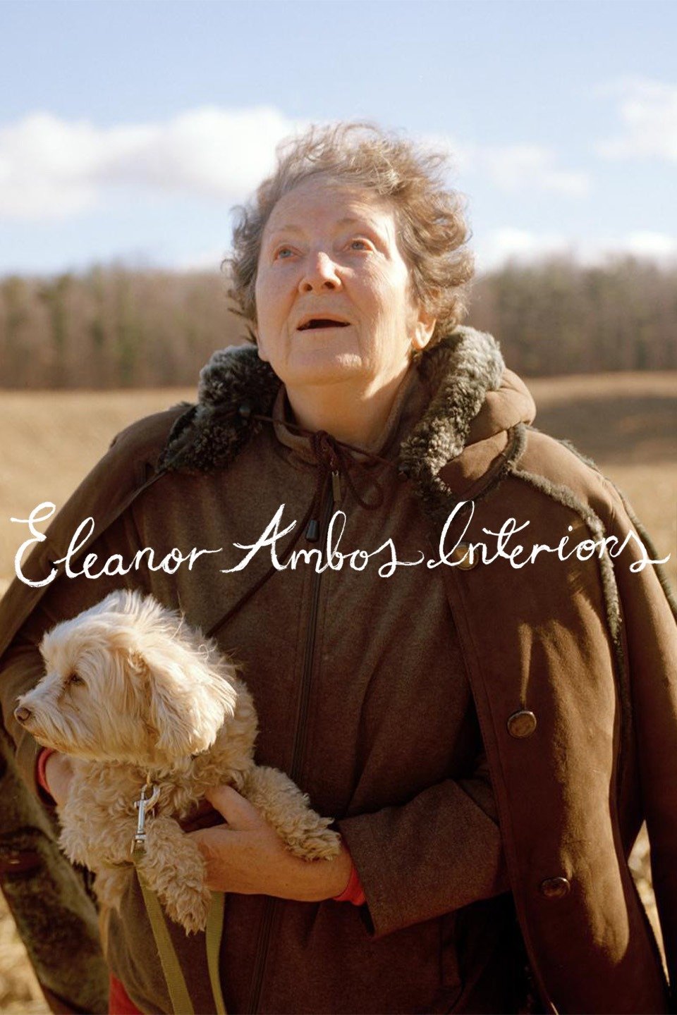 Eleanor Ambos Interiors - Rotten Tomatoes