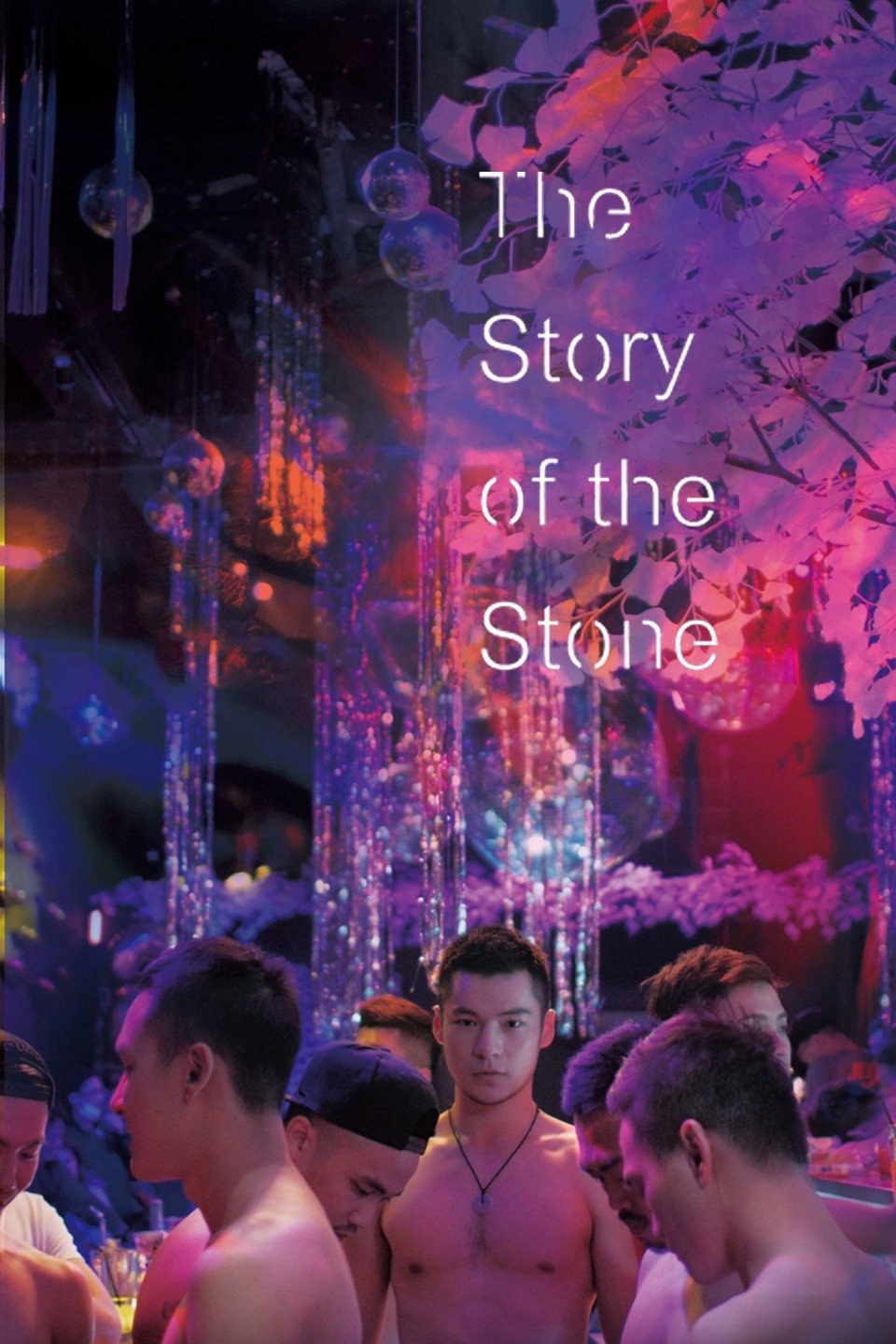 The Story of the Stone - Rotten Tomatoes