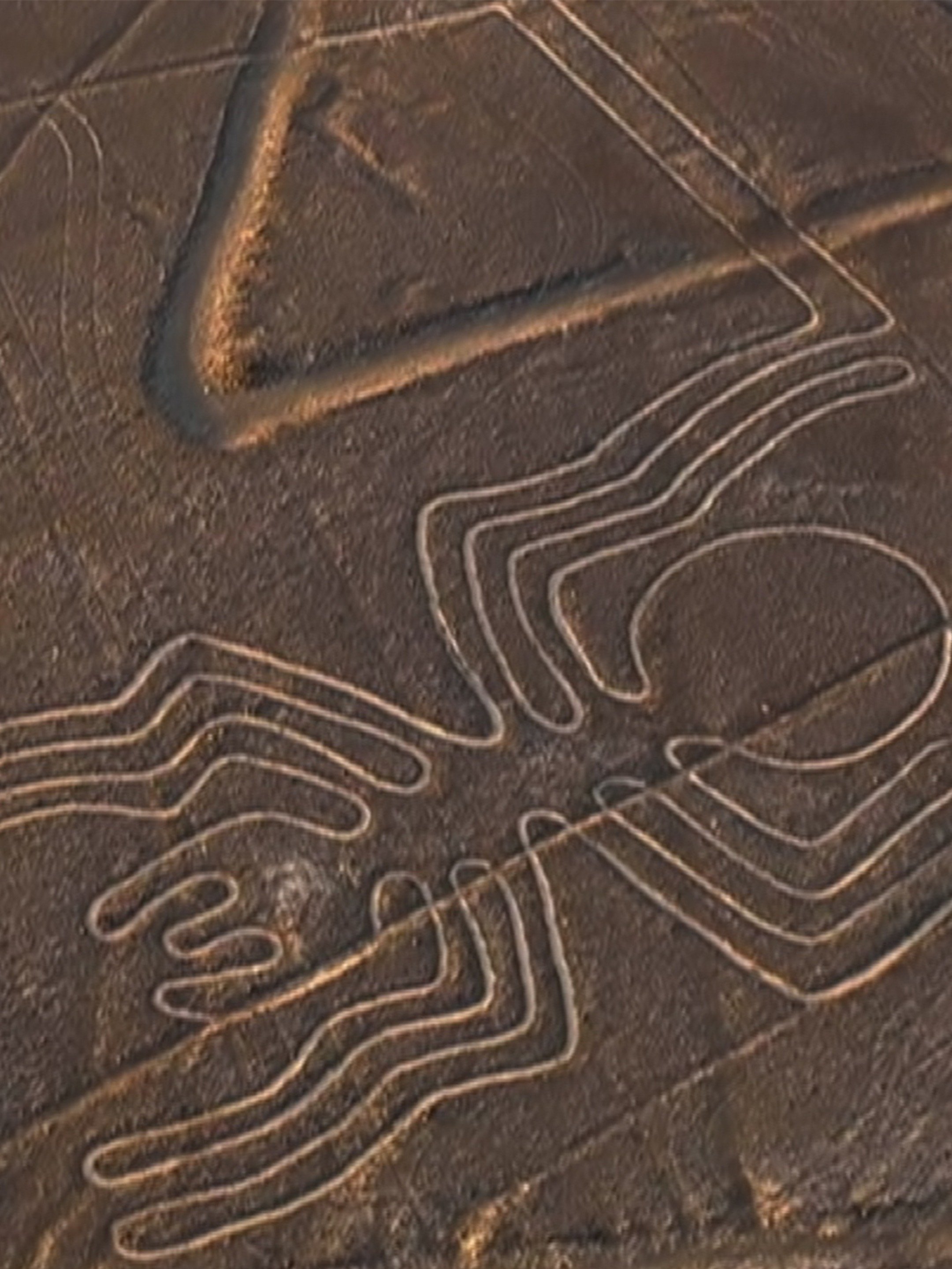 Nazca Desert Mystery Pictures - Rotten Tomatoes