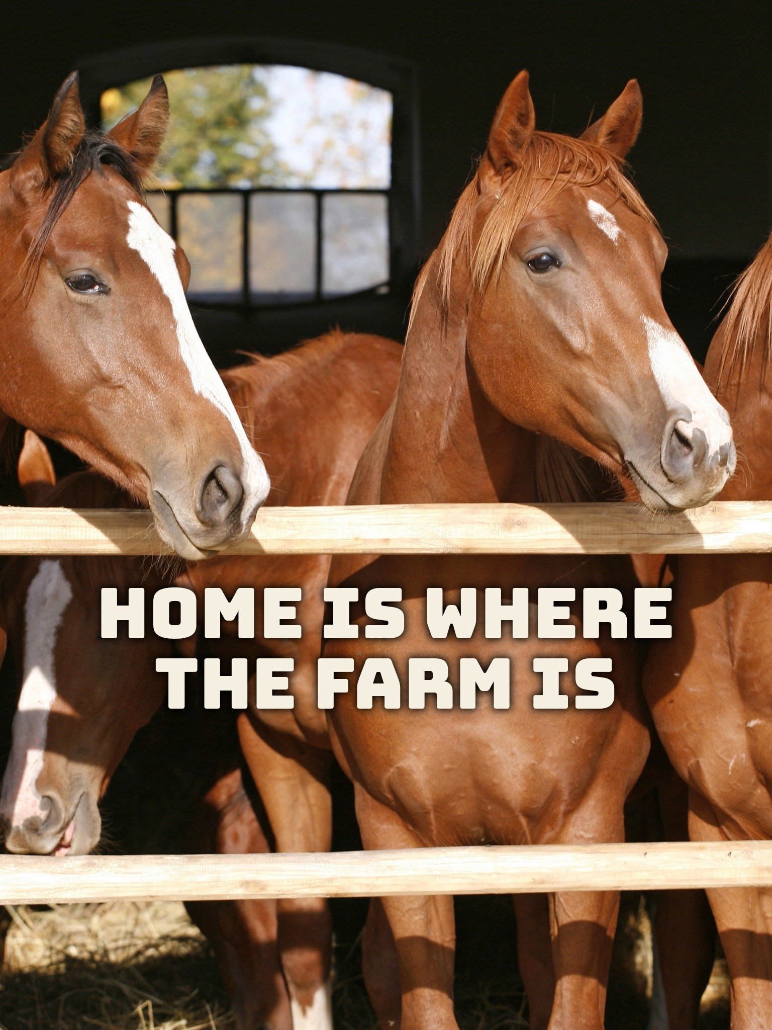 Home Is Where the Farm Is - Rotten Tomatoes