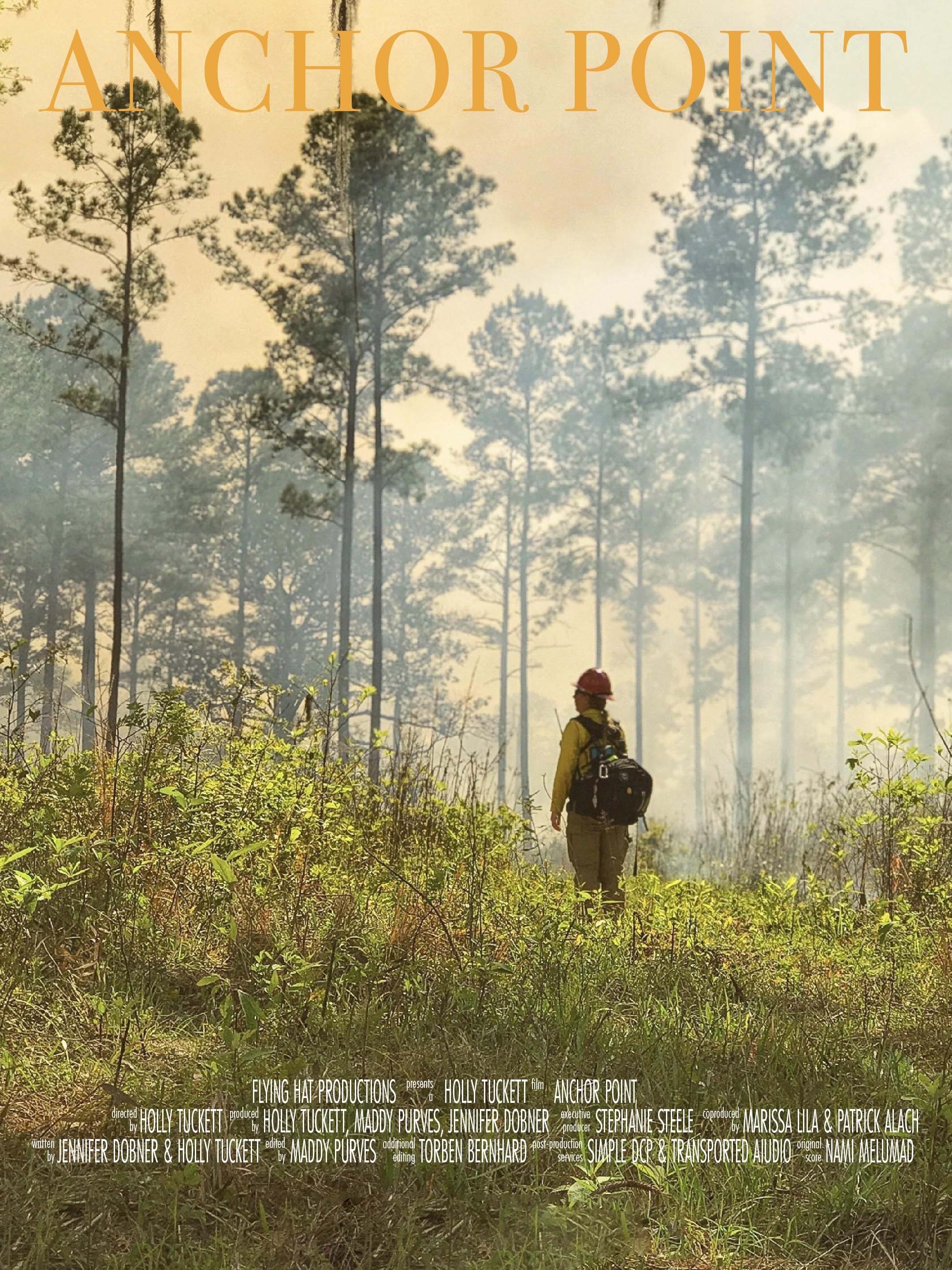 Anchor Point - Rotten Tomatoes