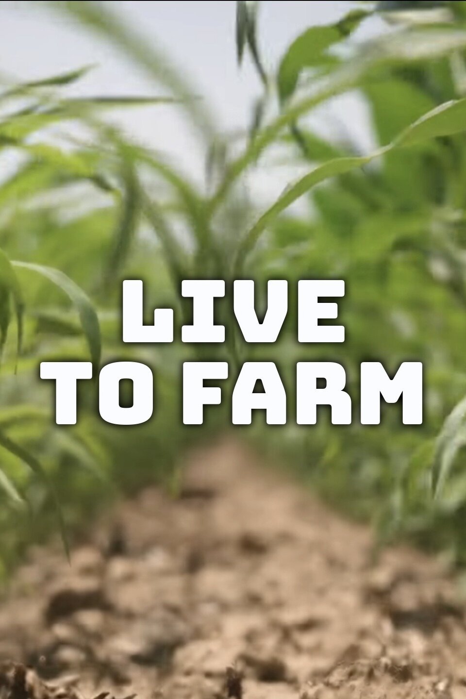 Slide into Summer Pictures - Rotten Tomatoes