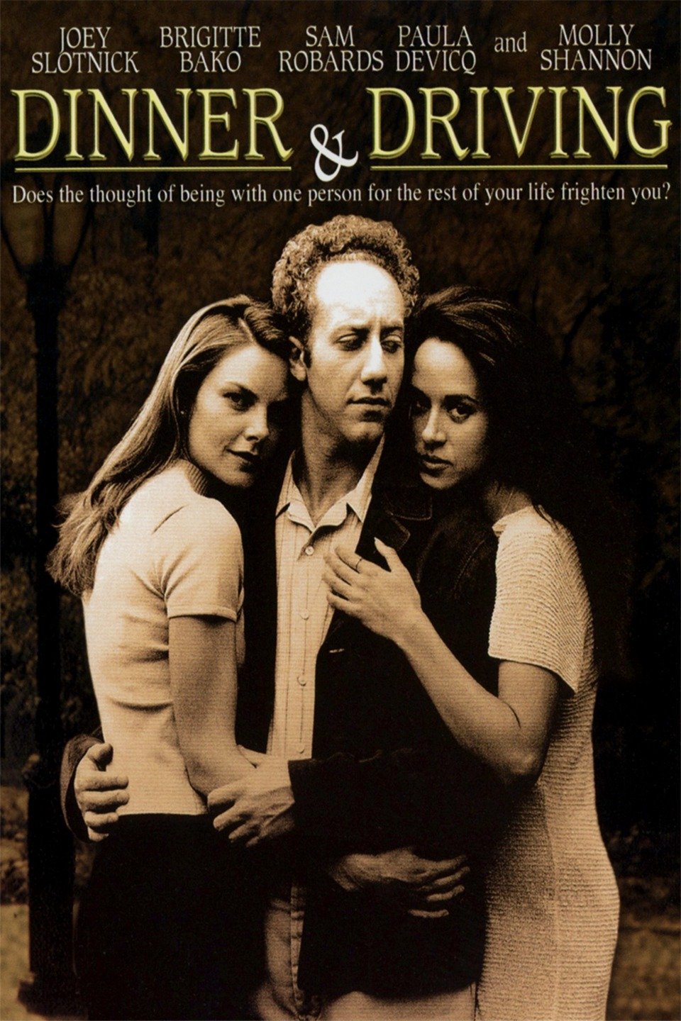 Dinner & Driving - Rotten Tomatoes