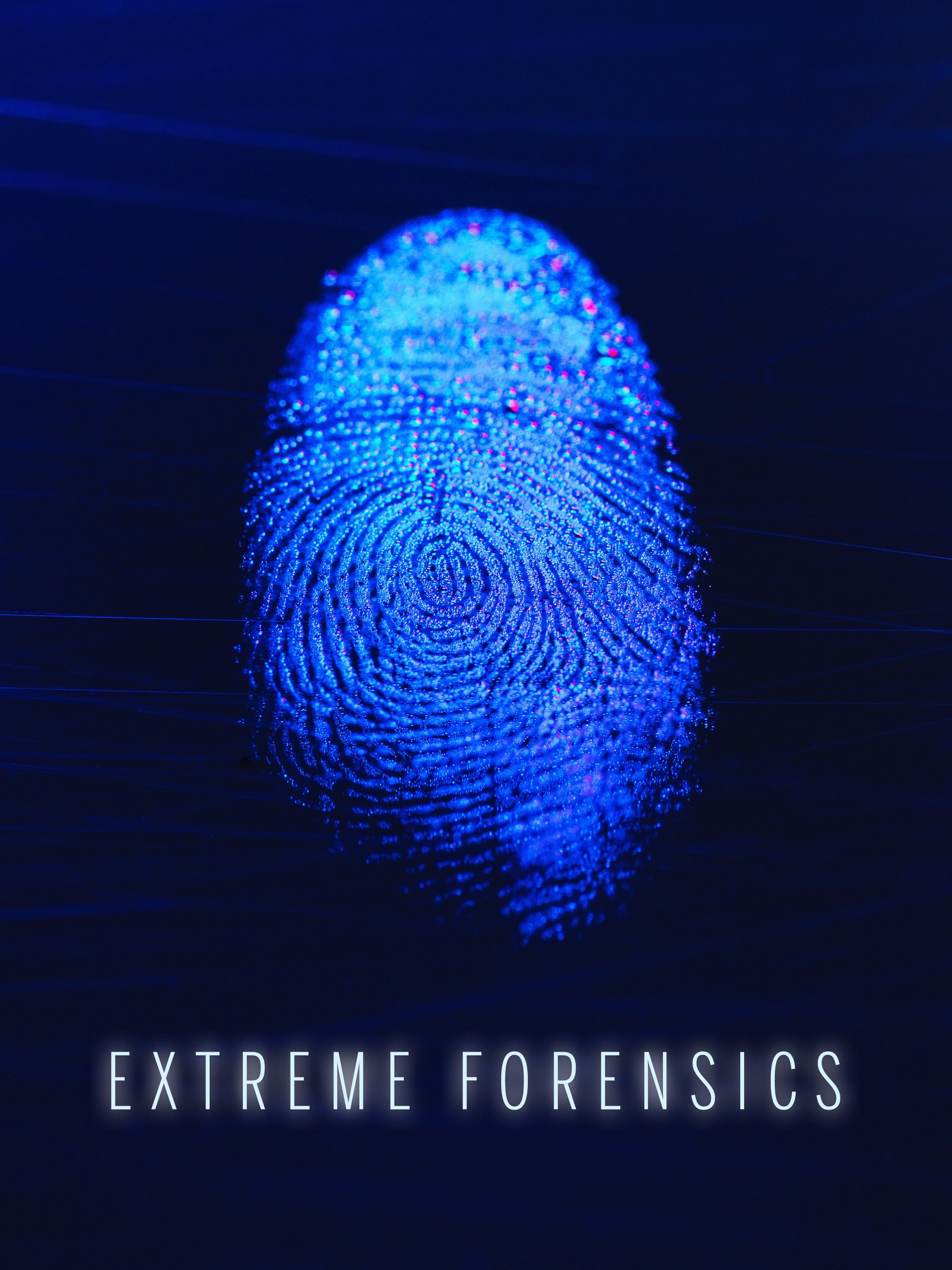 Solved: Extreme Forensics - Rotten Tomatoes