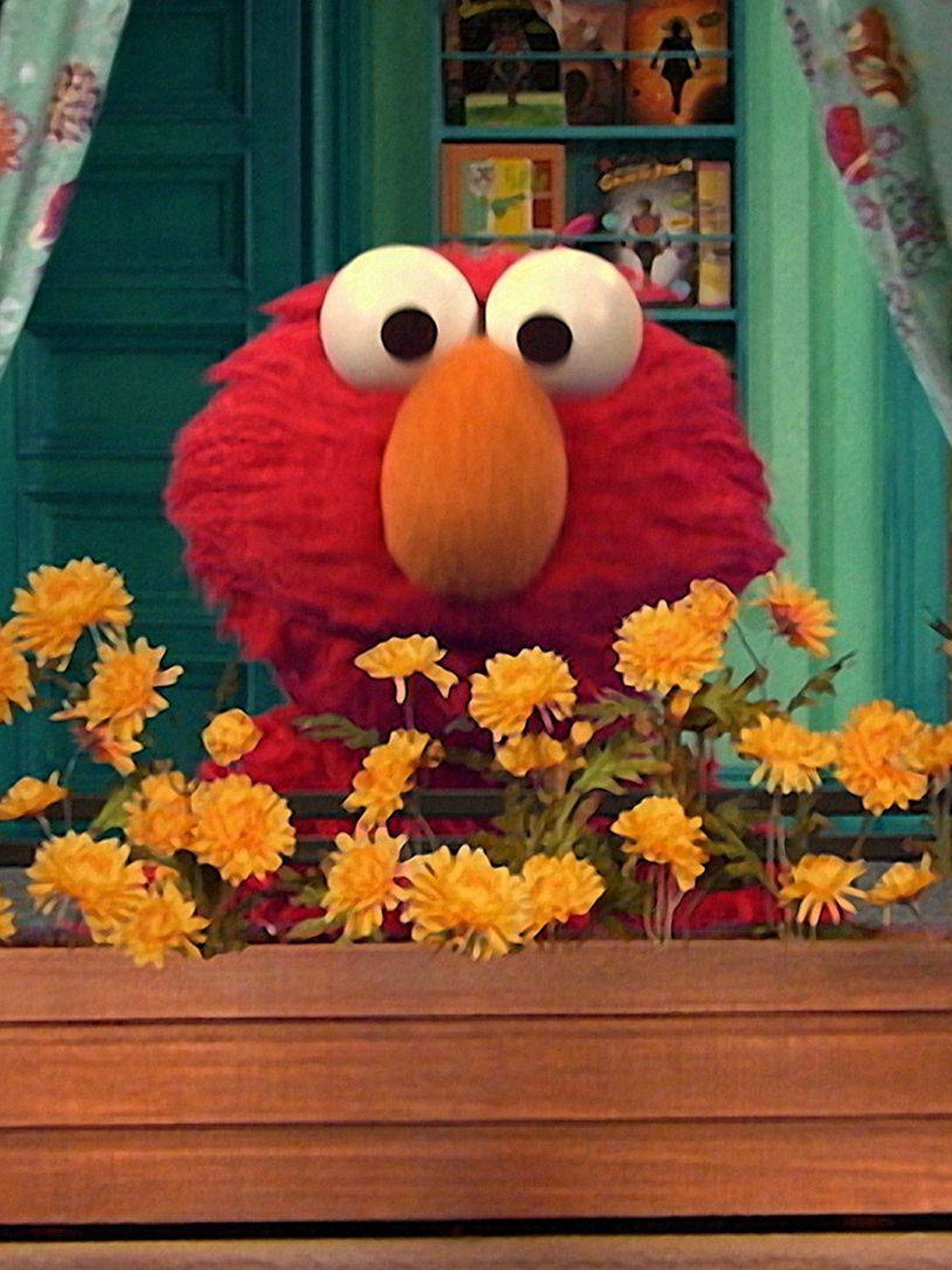 My Elmo: Toys Pictures - Rotten Tomatoes