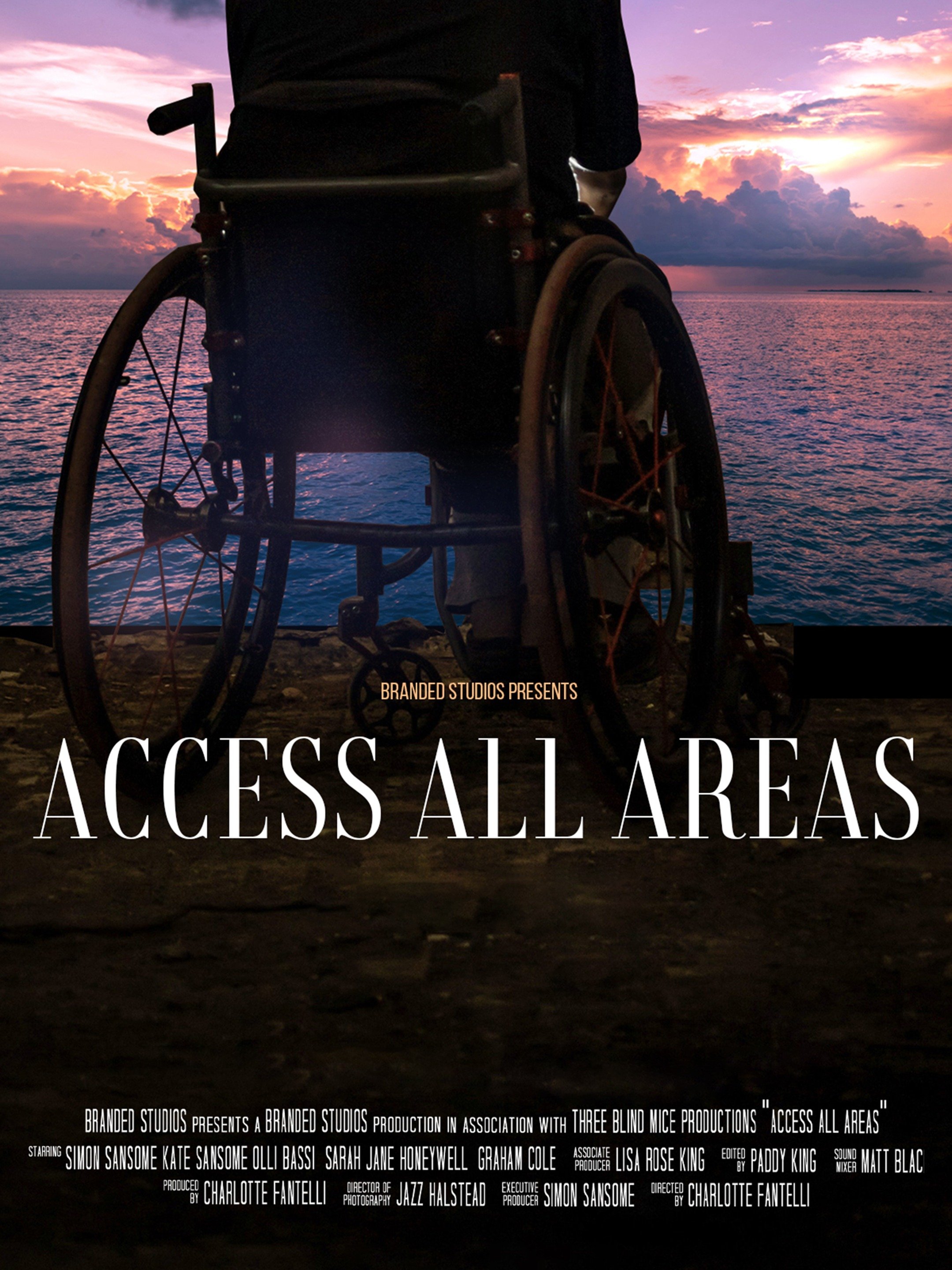 Access All Areas Rotten Tomatoes