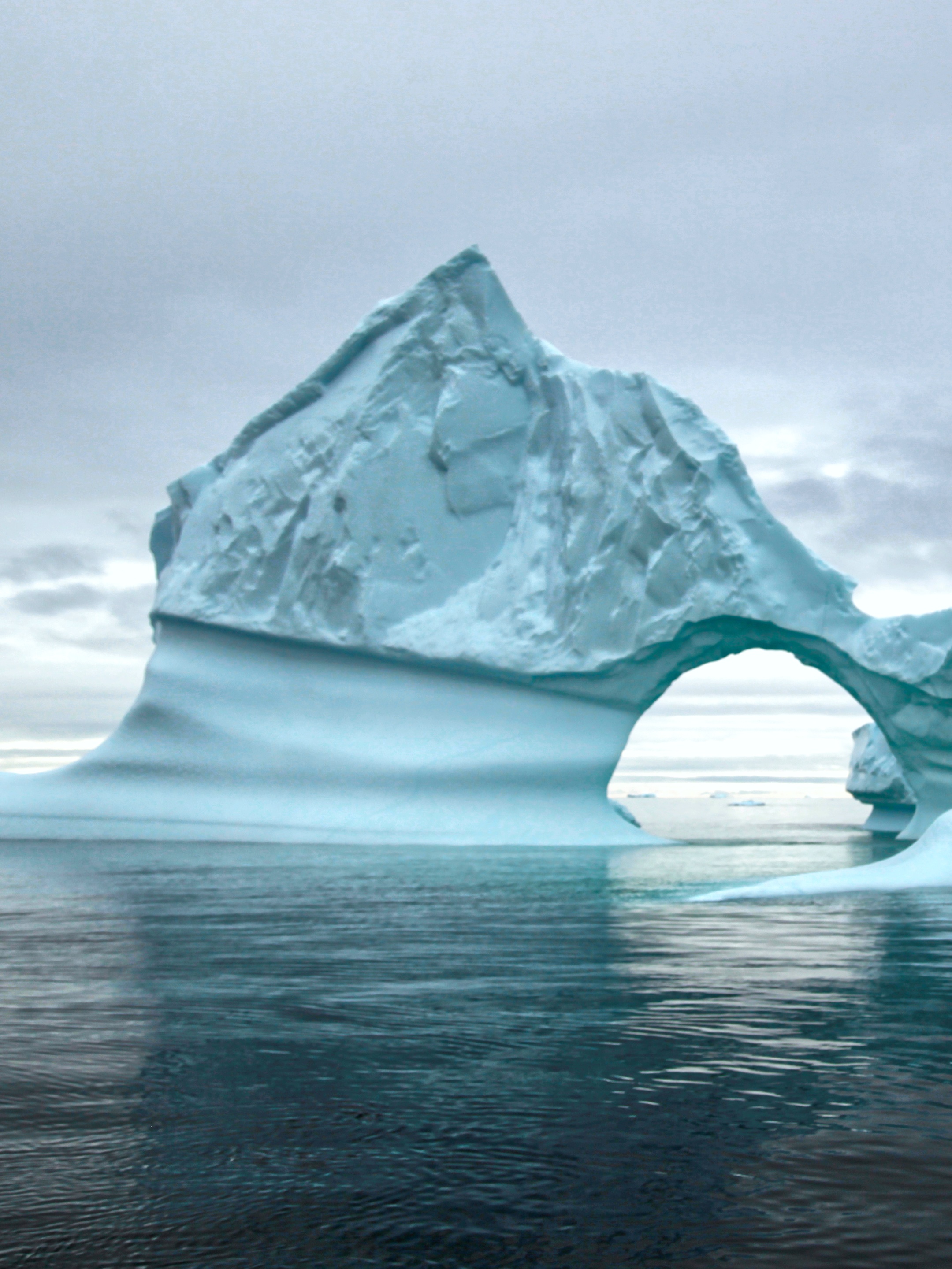 Miami Sinking Pictures - Rotten Tomatoes