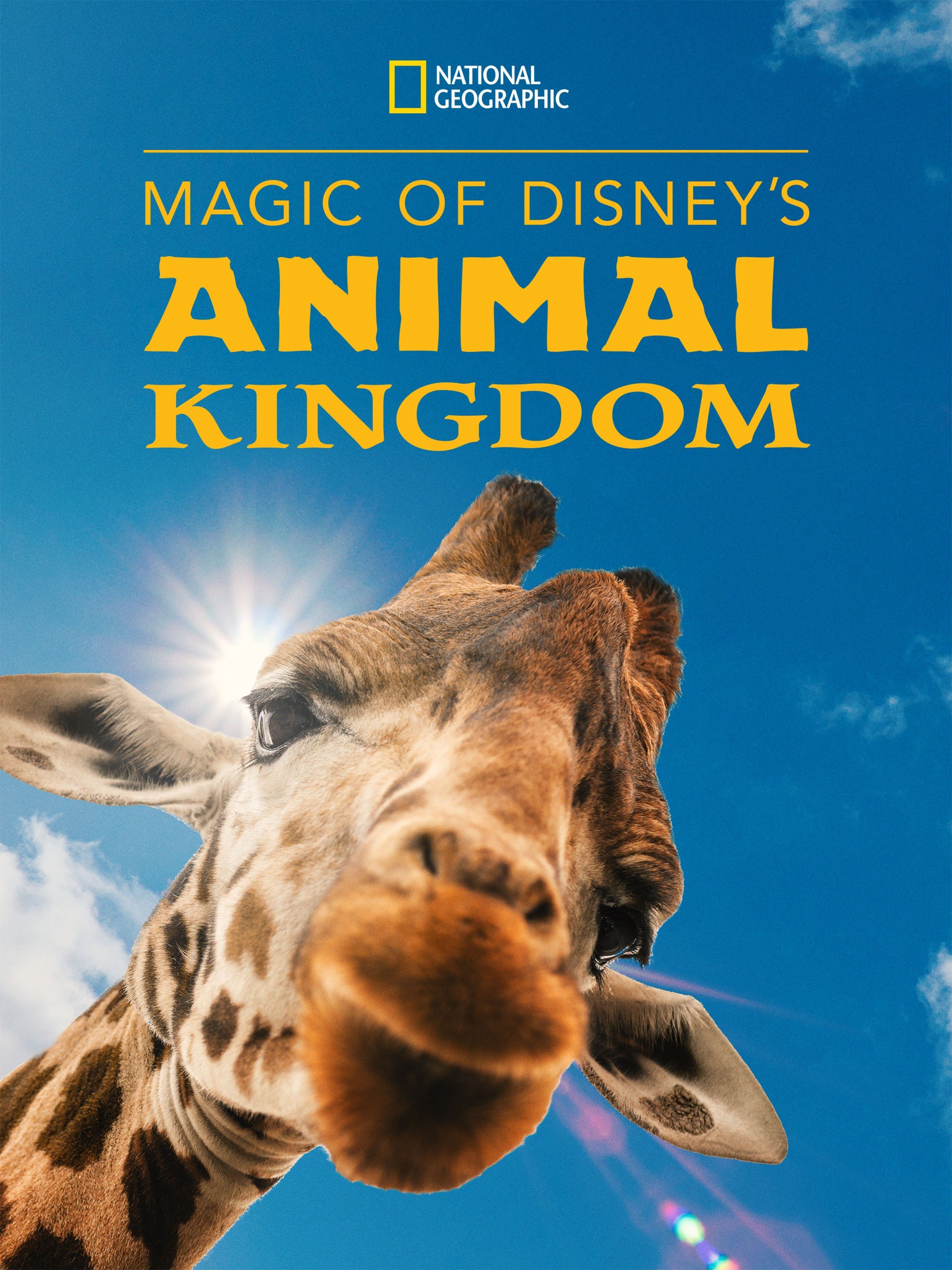 Magic of Disney's Animal Kingdom - Rotten Tomatoes