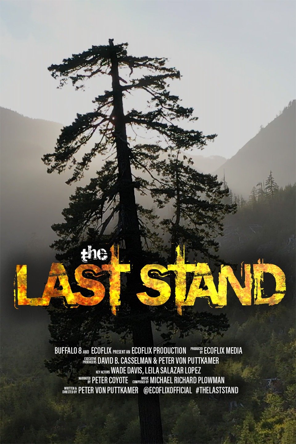 The Last Stand - Rotten Tomatoes