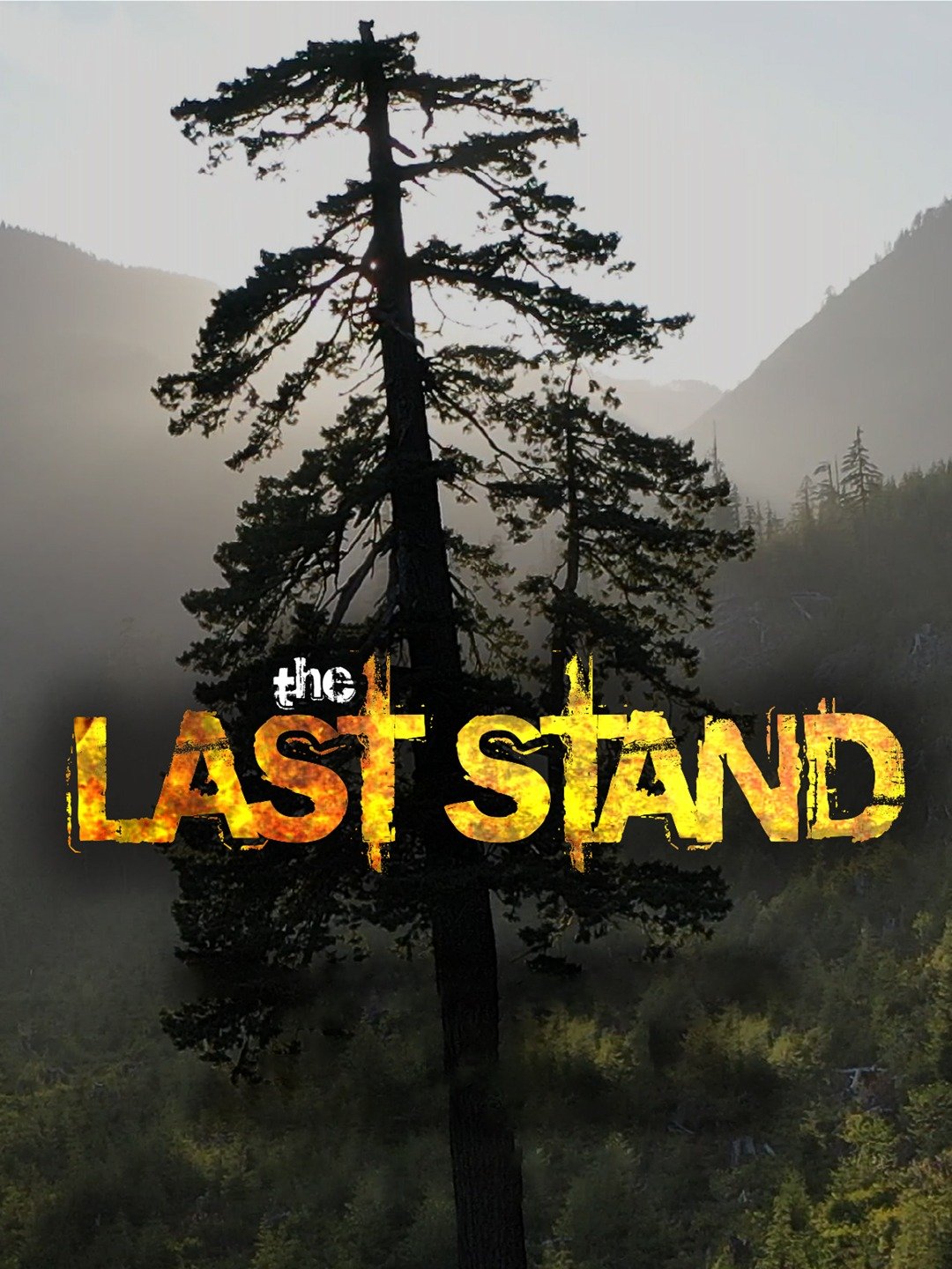 The Last Stand 4