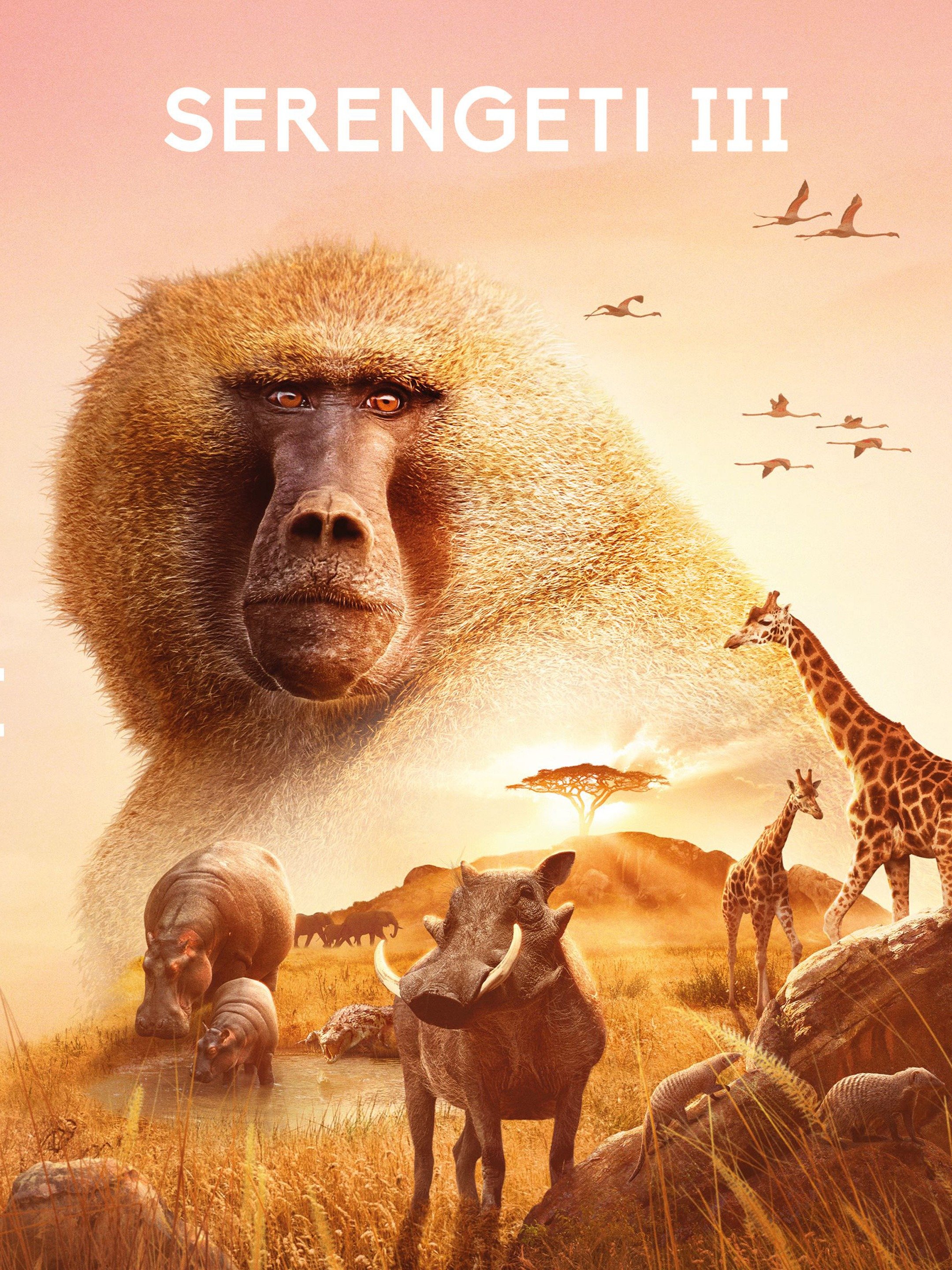 Serengeti - Rotten Tomatoes