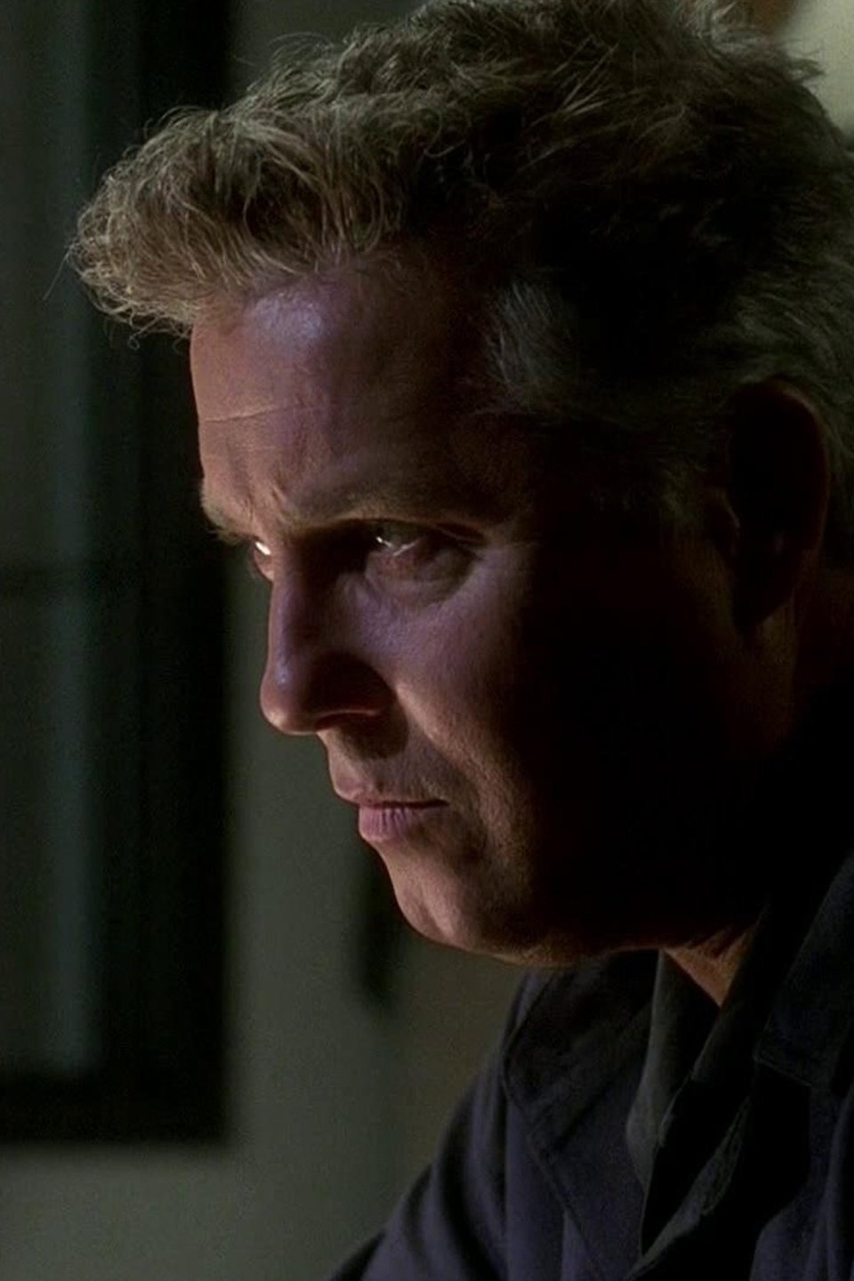 The Hunger Artist Pictures - Rotten Tomatoes