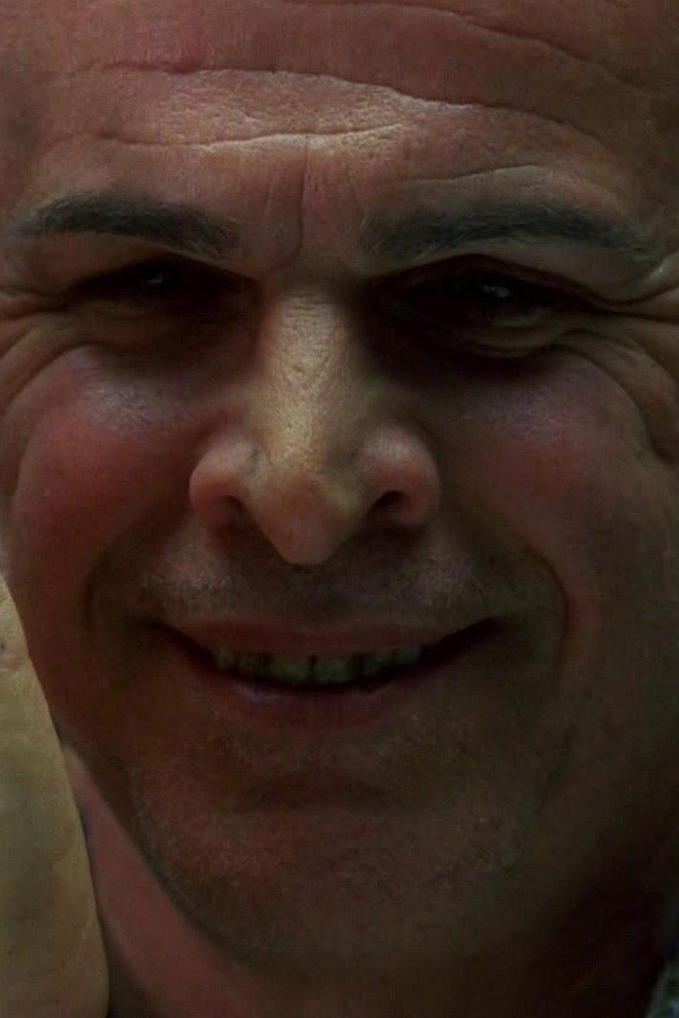 Snakes Pictures - Rotten Tomatoes