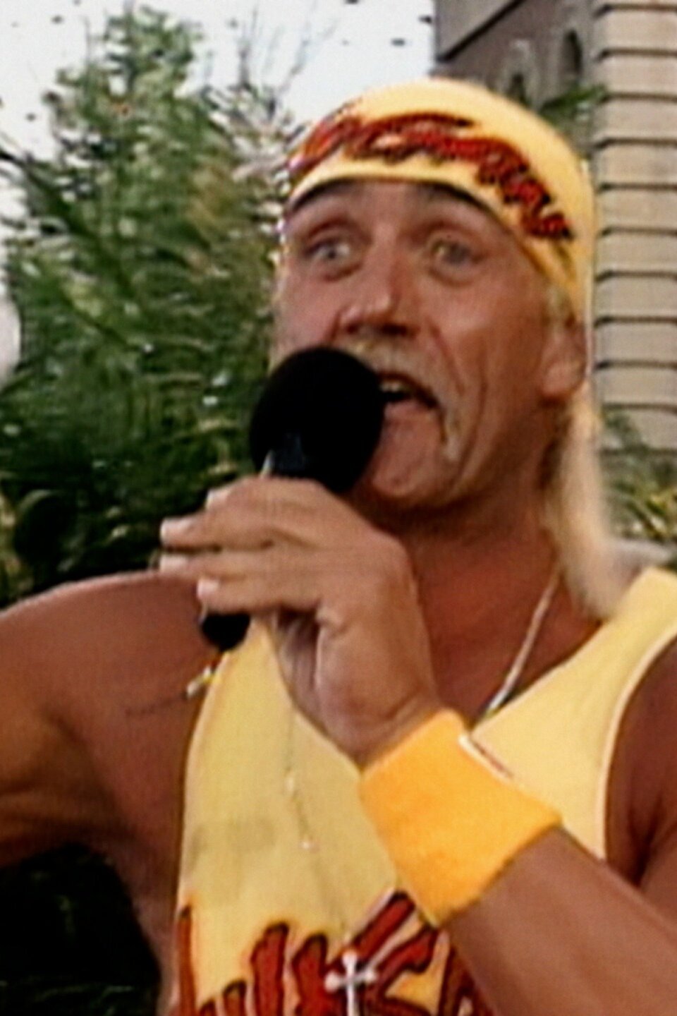 nWo Pictures - Rotten Tomatoes