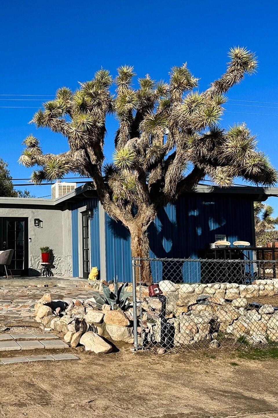 Desert Debacle to Dream Oasis Pictures - Rotten Tomatoes