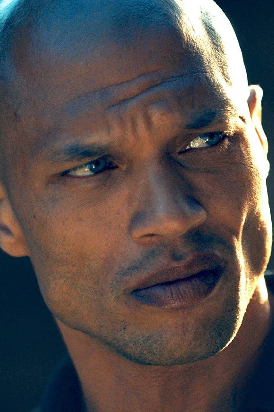 Never the Same Pictures - Rotten Tomatoes