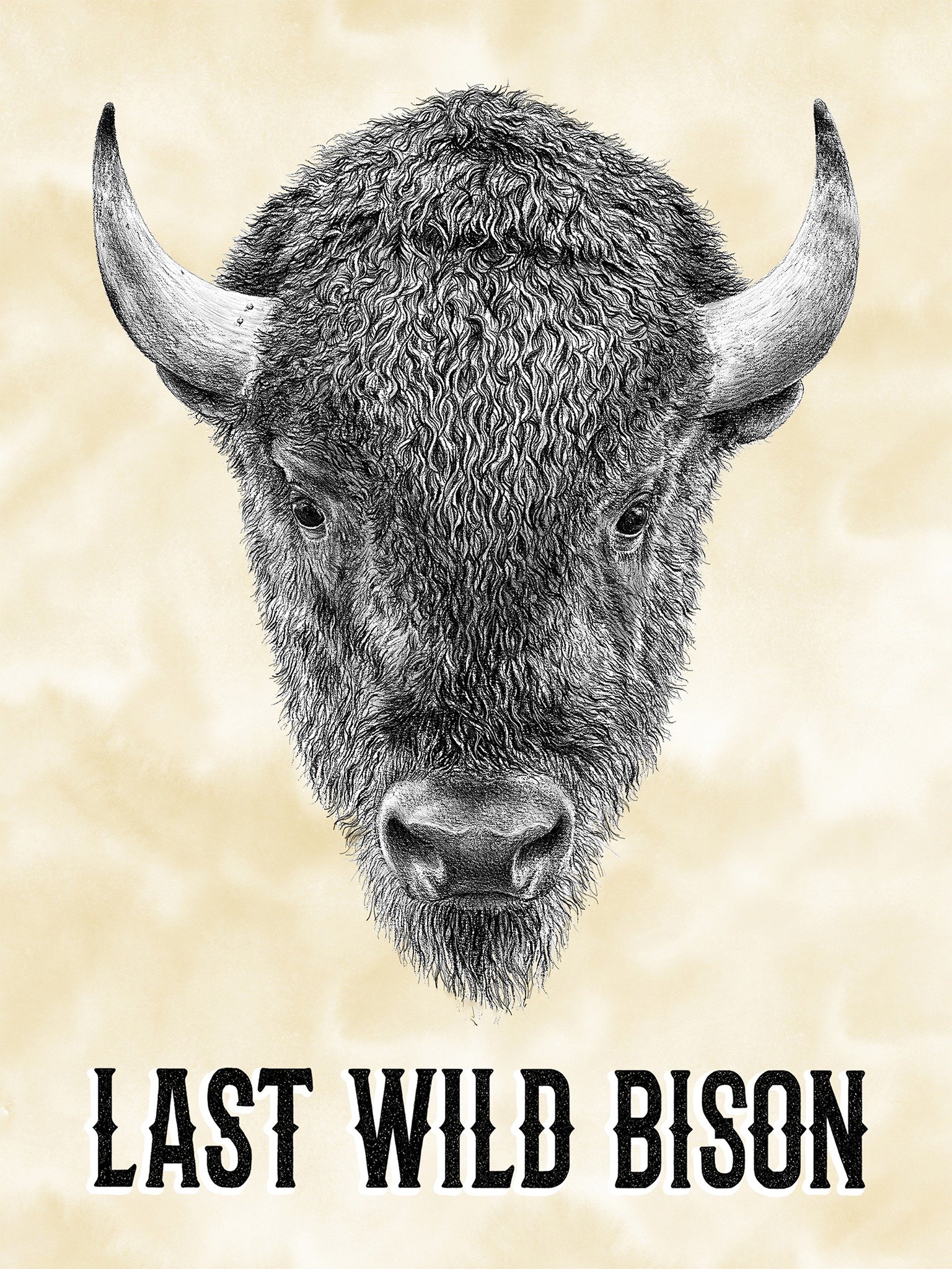 Last Wild Bison - Rotten Tomatoes