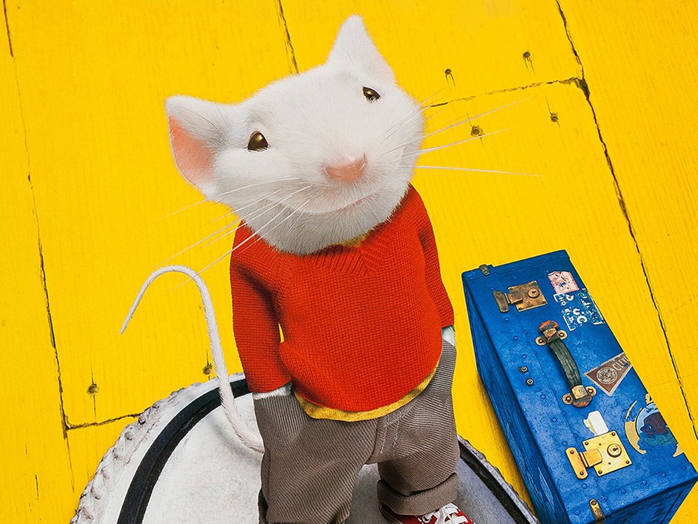 Stuart Little: Official Clip - Stuck in the Washing Machine - Trailers ...