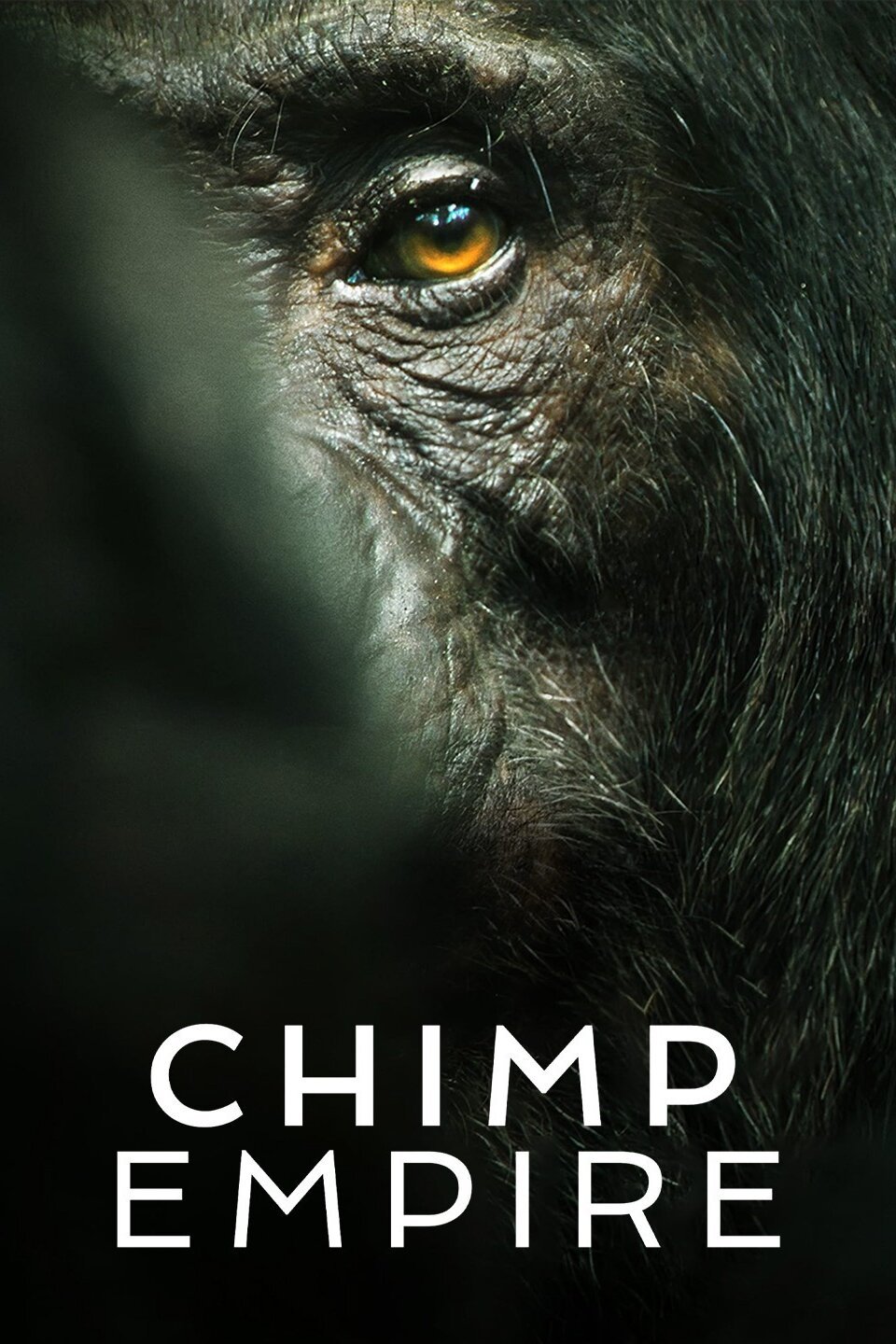 Chimp Empire - Rotten Tomatoes
