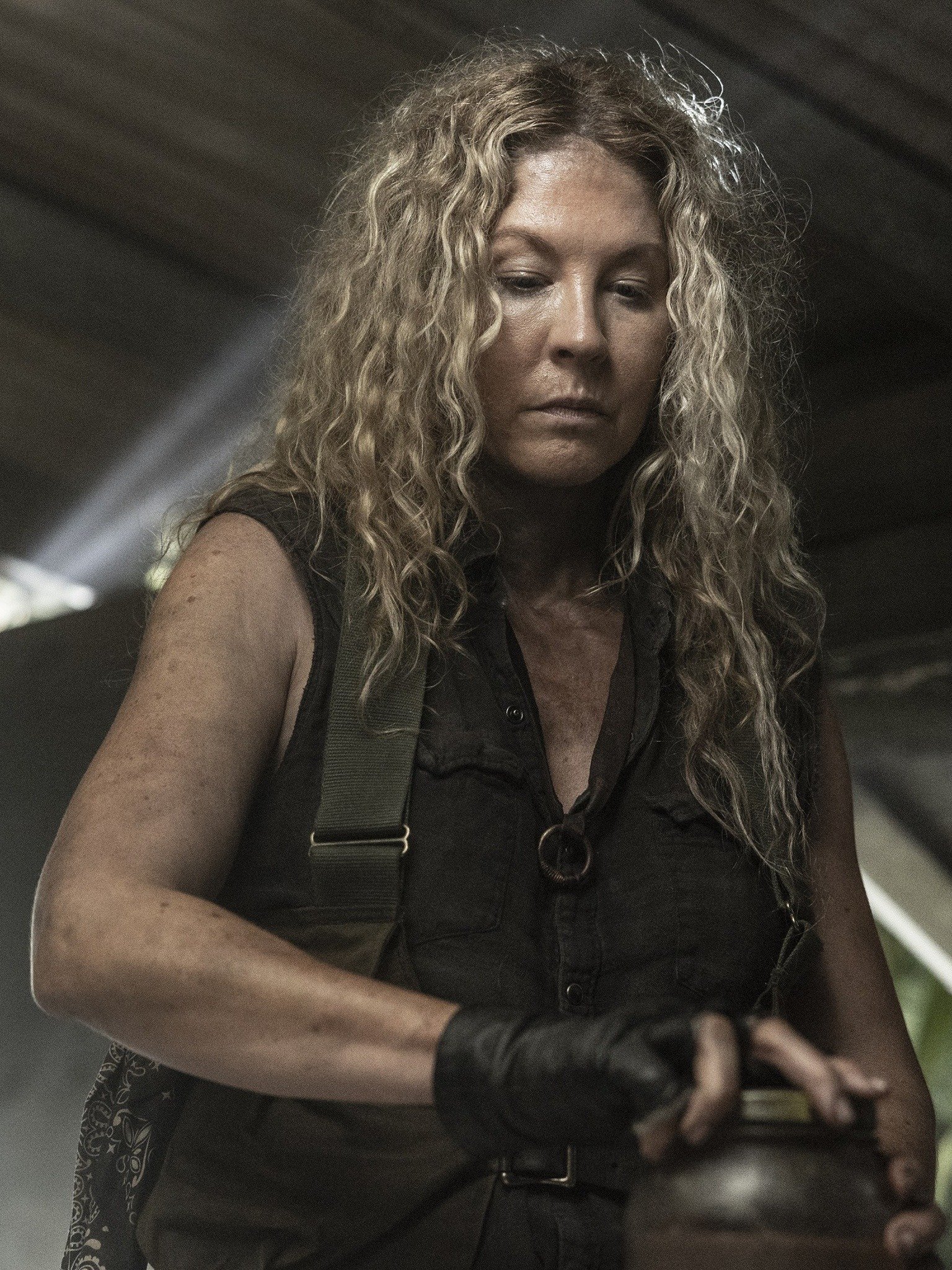 Blue Jay Pictures - Rotten Tomatoes