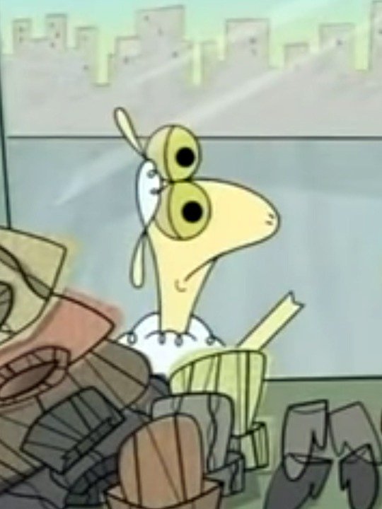 Sheep In The Big City Dvd