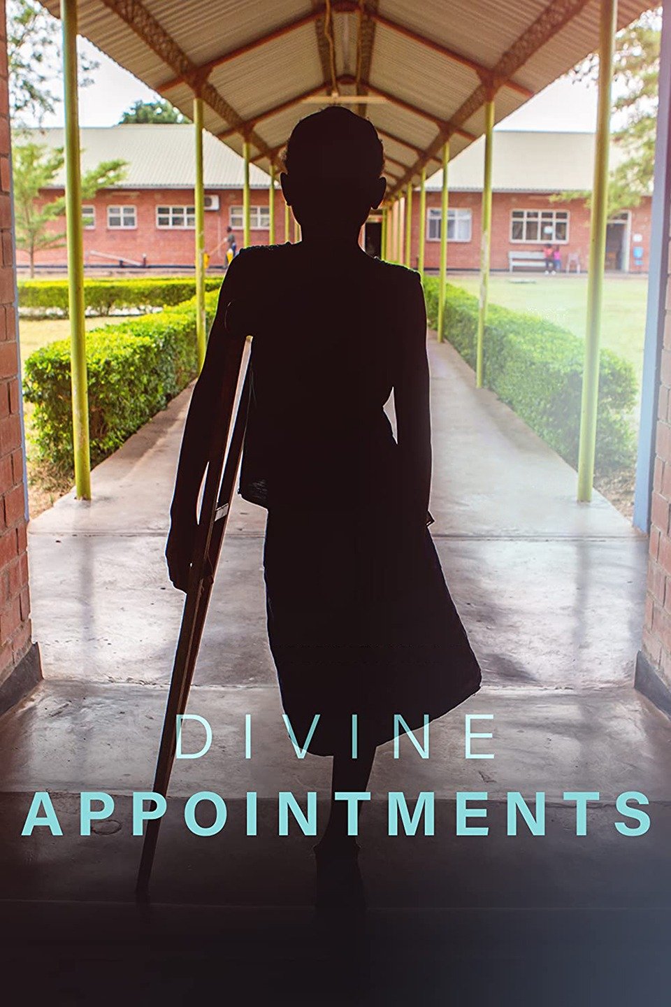 Divine Appointments - Rotten Tomatoes