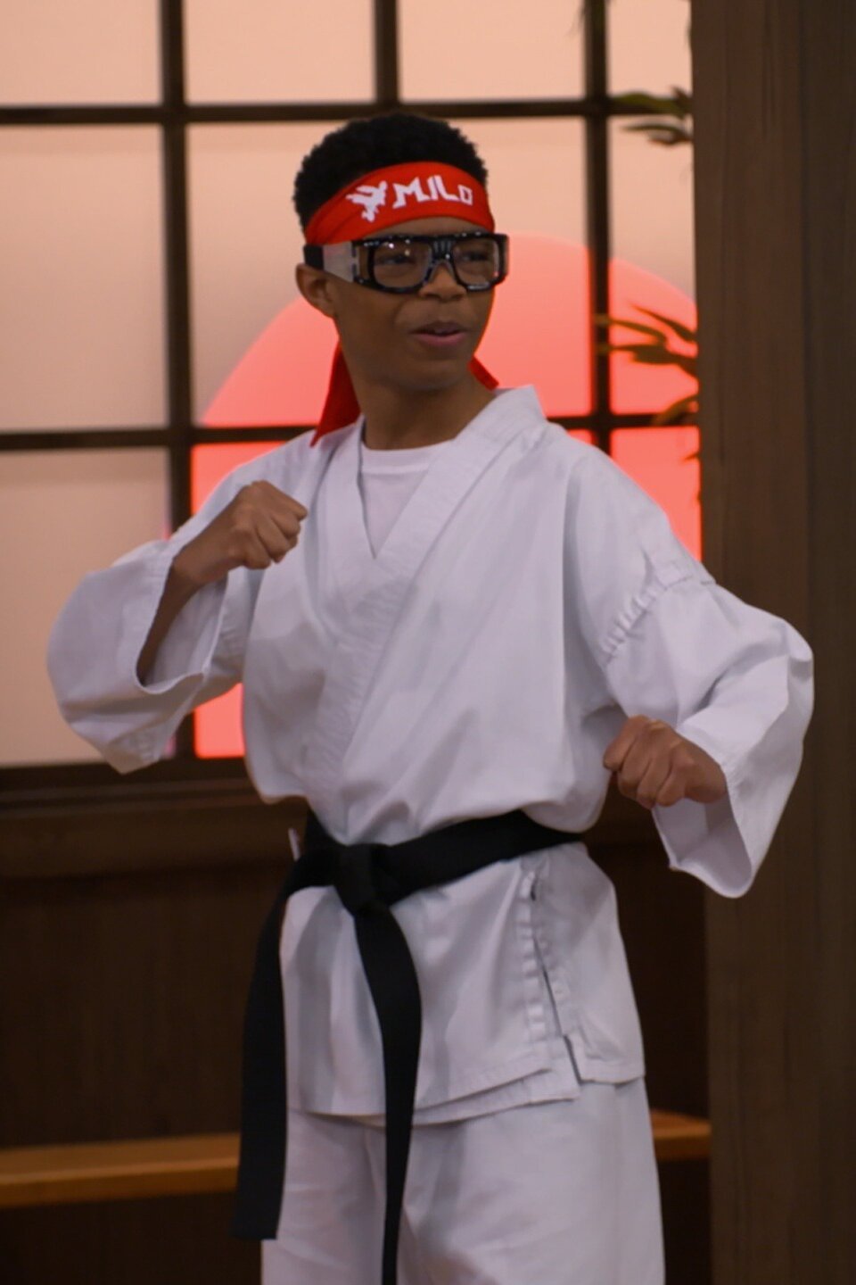 Dojo Mojo Pictures - Rotten Tomatoes