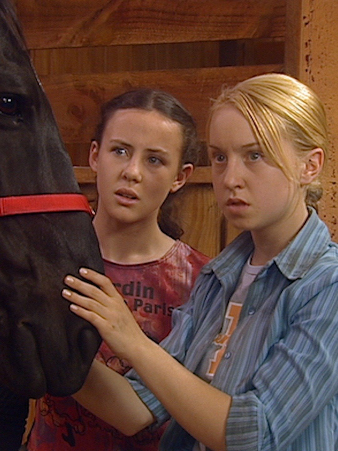 Lauren Dixon Saddle Club