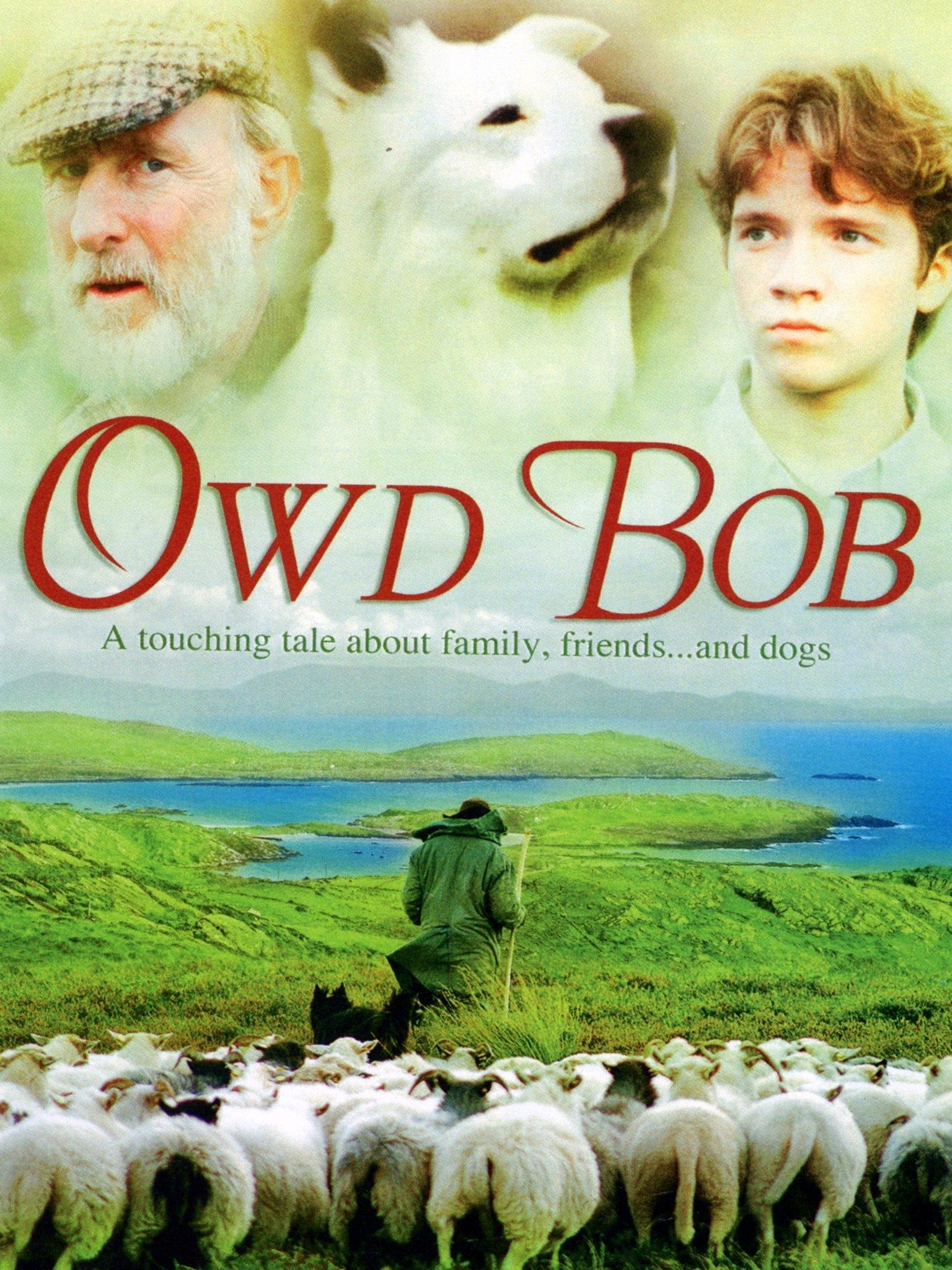 Owd Bob (1997) - Rotten Tomatoes