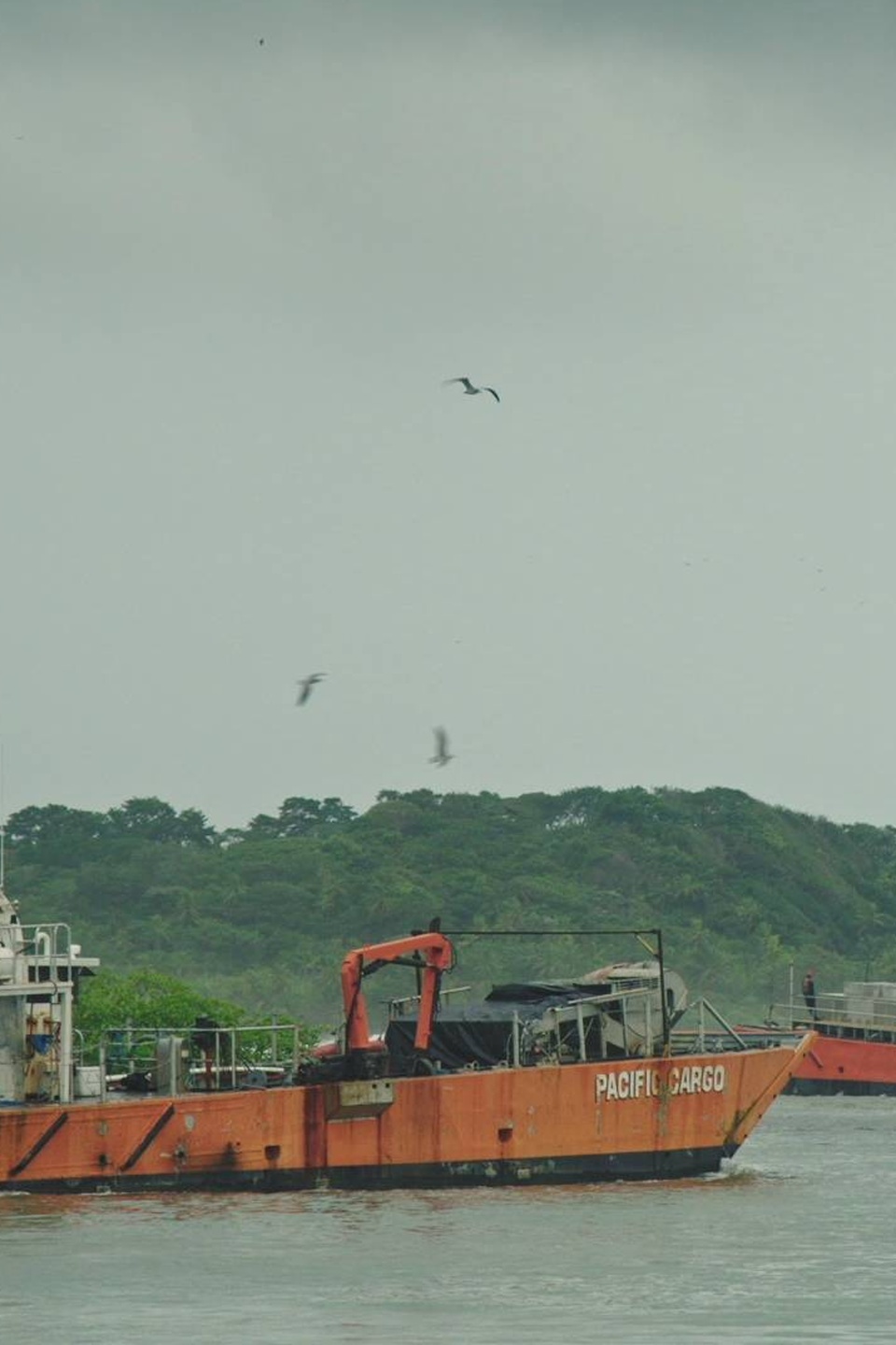 Deep Sea Fish Farm Pictures - Rotten Tomatoes