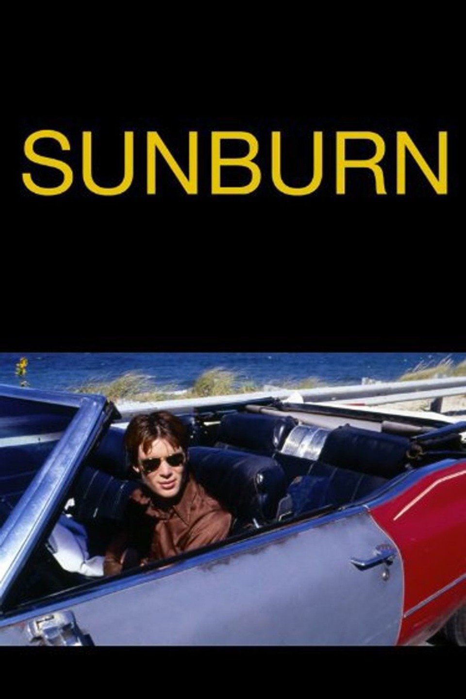 Sunburn - Rotten Tomatoes