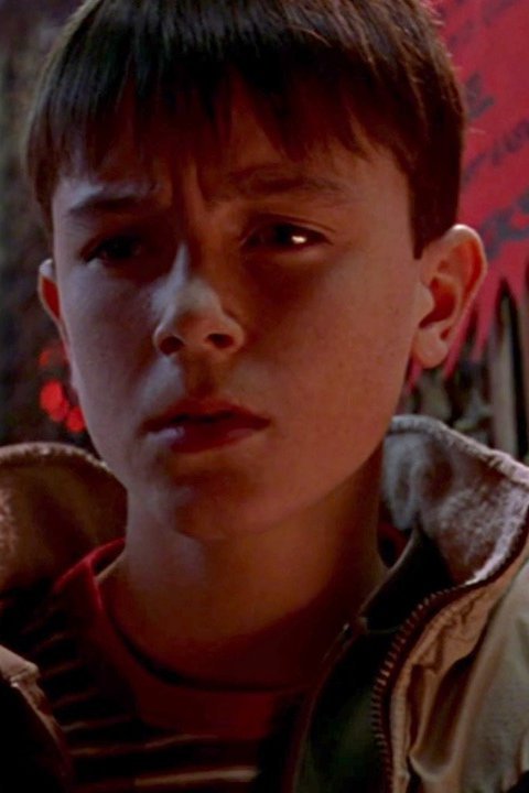 Stray Pictures - Rotten Tomatoes