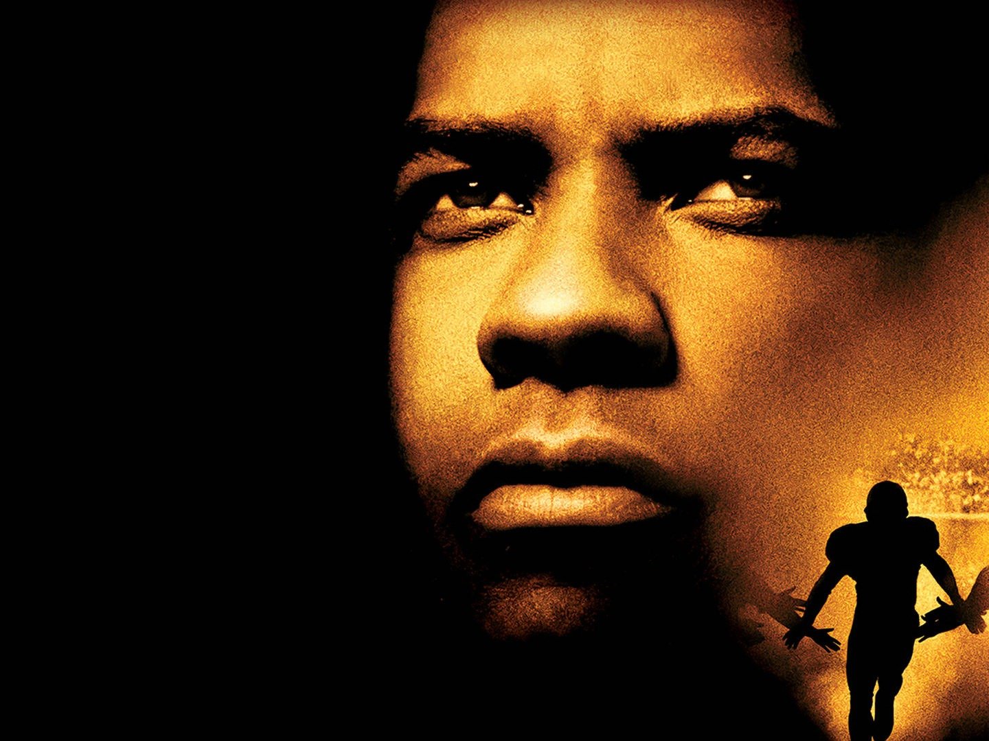 Lewis Lastik's Instagram, Twitter & Facebook on IDCrawl