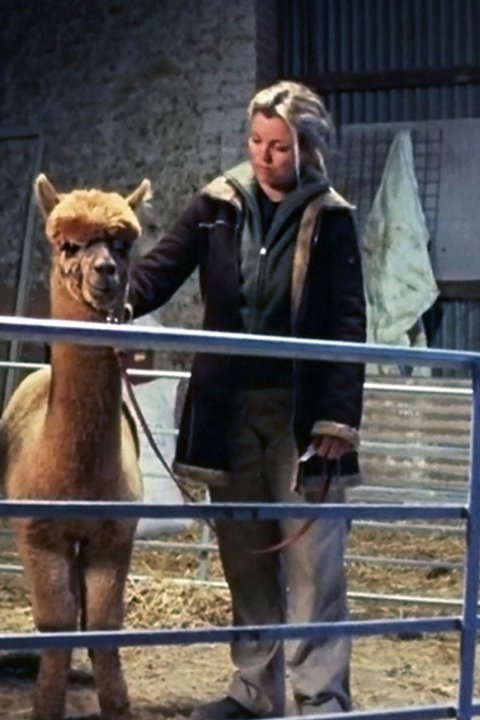 Out of the Ashes Pictures - Rotten Tomatoes