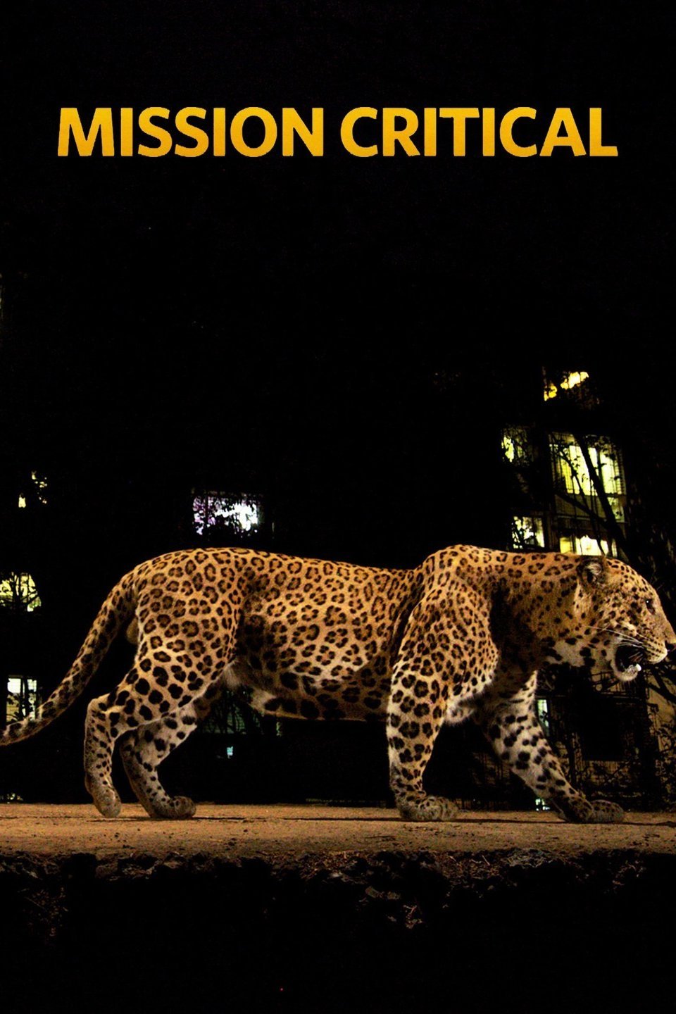 Mission Critical - Rotten Tomatoes