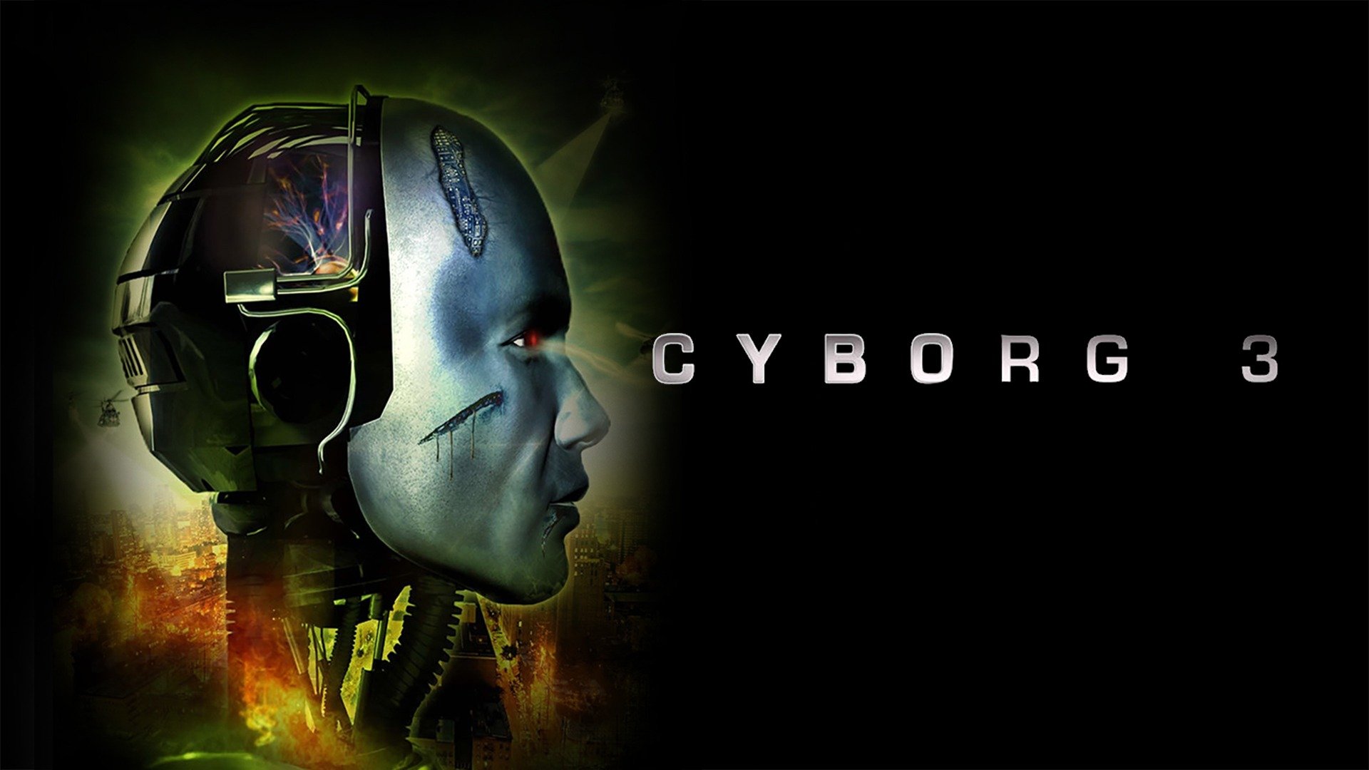 Cyborg 3
