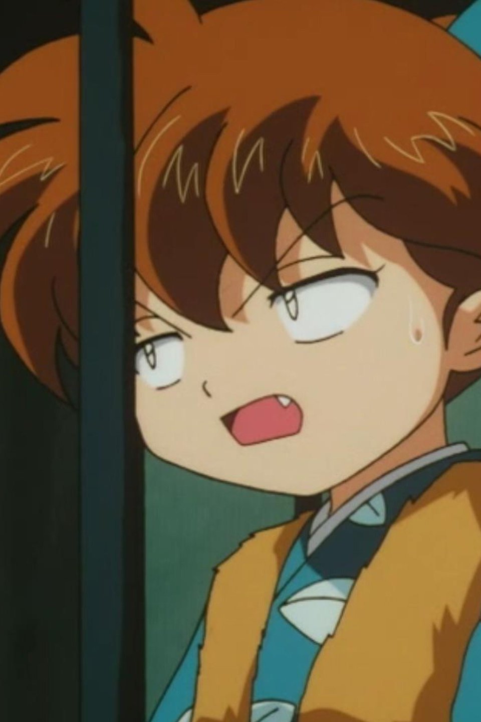 Shippo Gets an Angry Challenge Pictures - Rotten Tomatoes