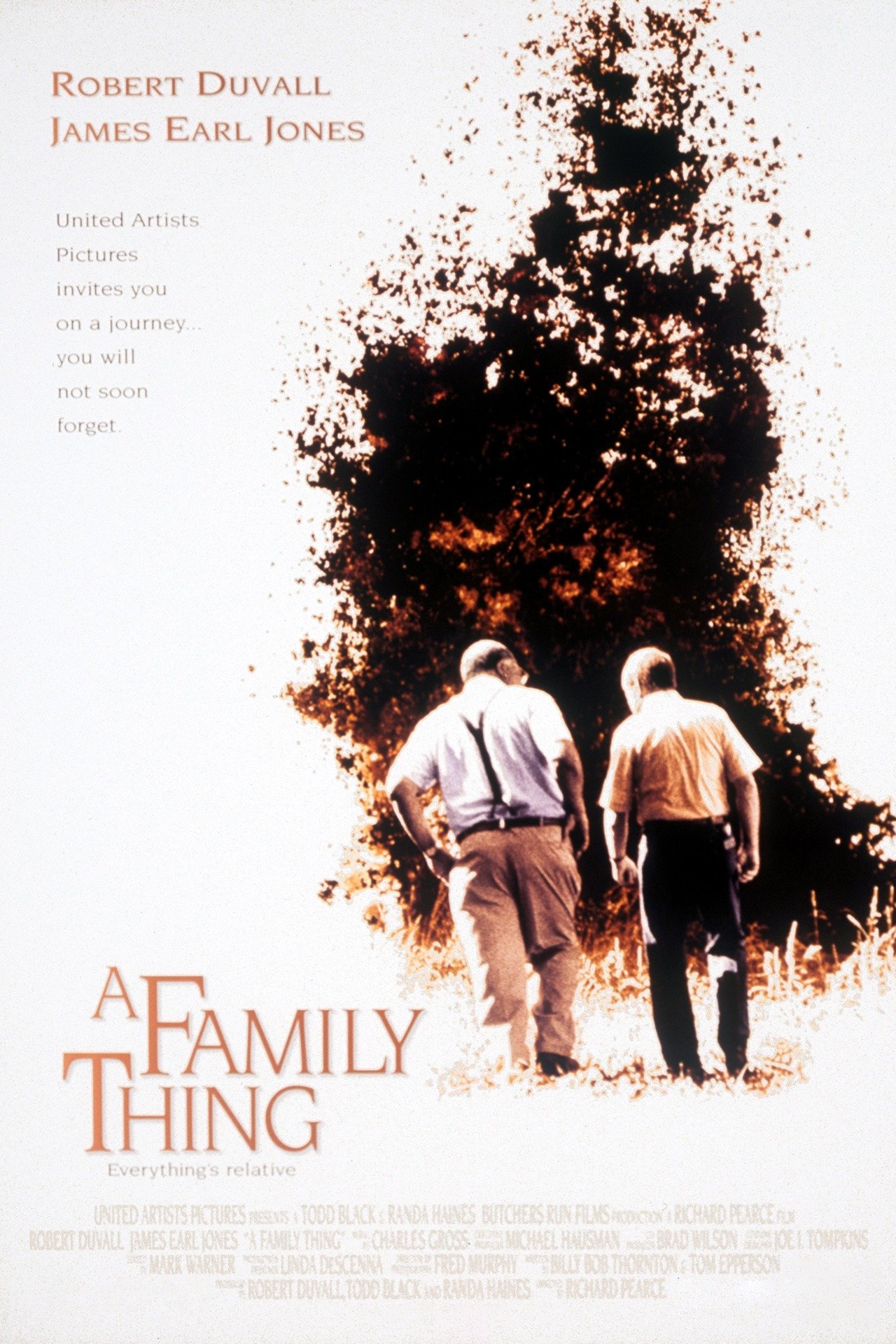 A Family Thing - Rotten Tomatoes