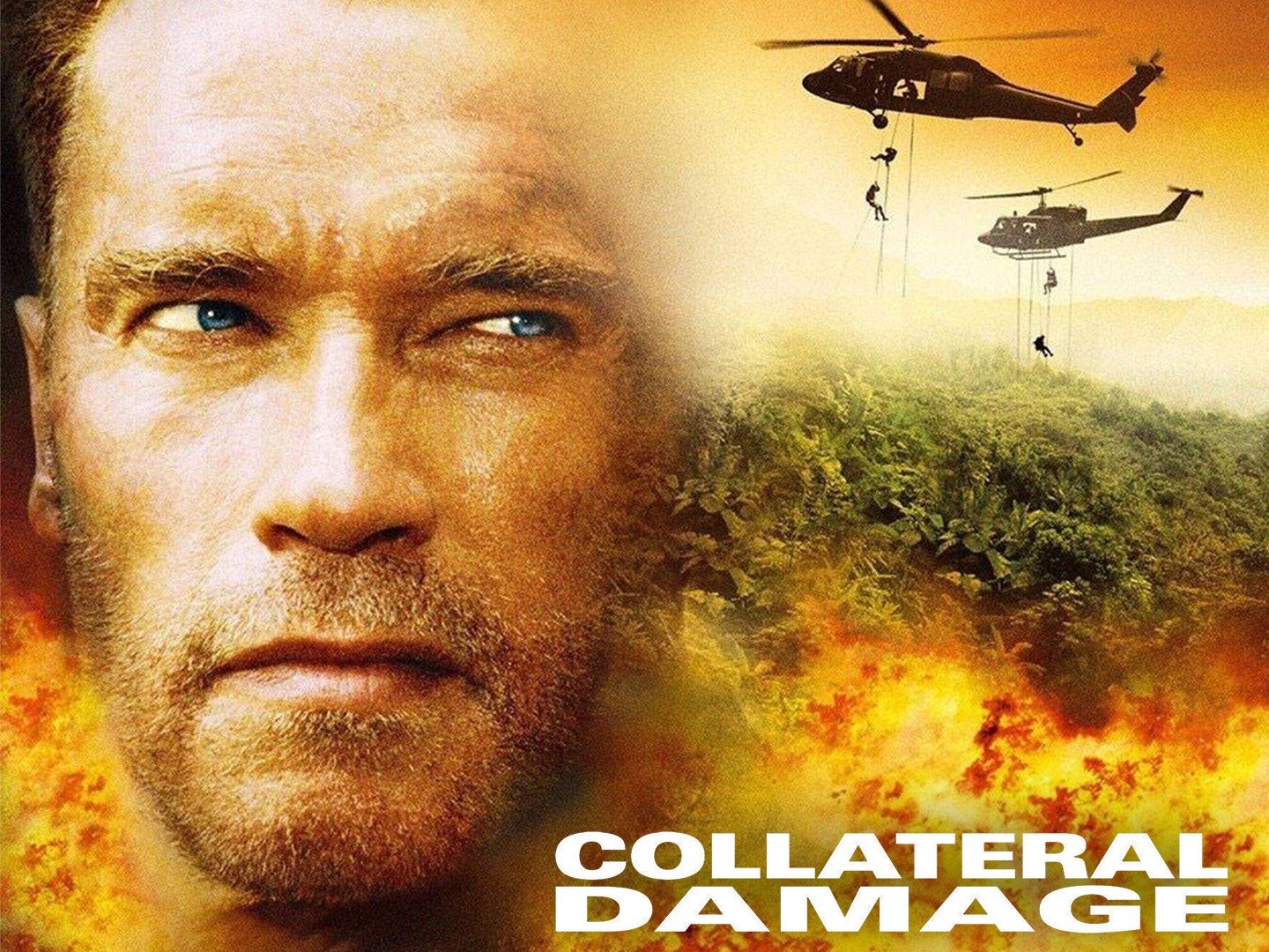 Collateral Damage 2002 Tyler Posey