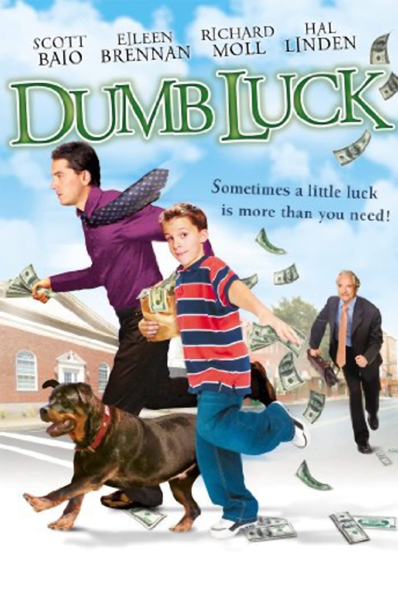 Dumb Luck - Rotten Tomatoes