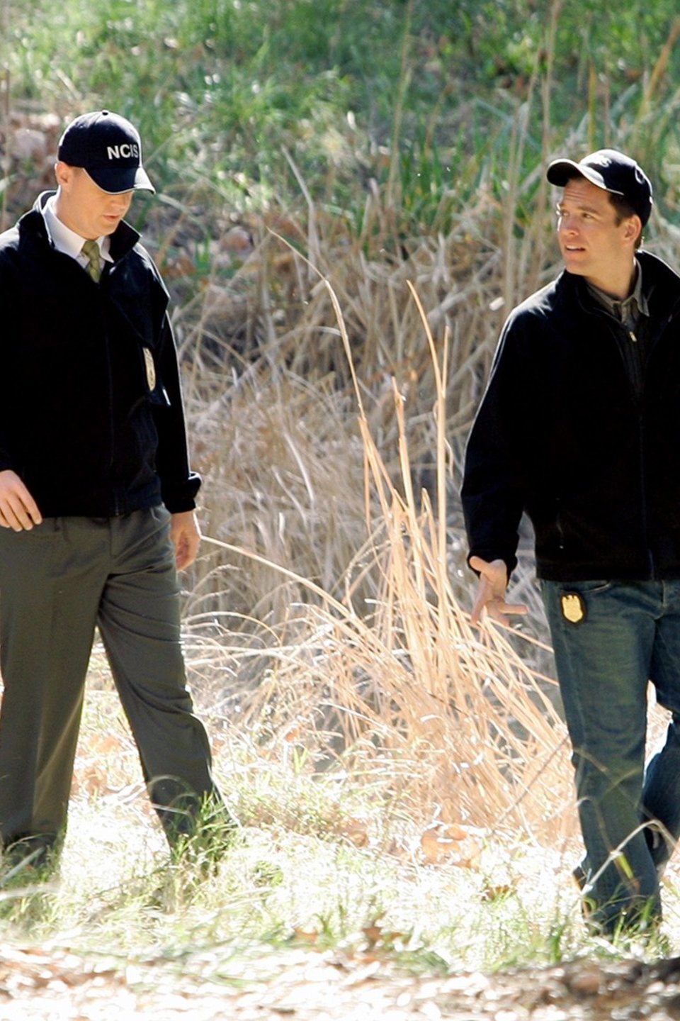 Ravenous Pictures - Rotten Tomatoes