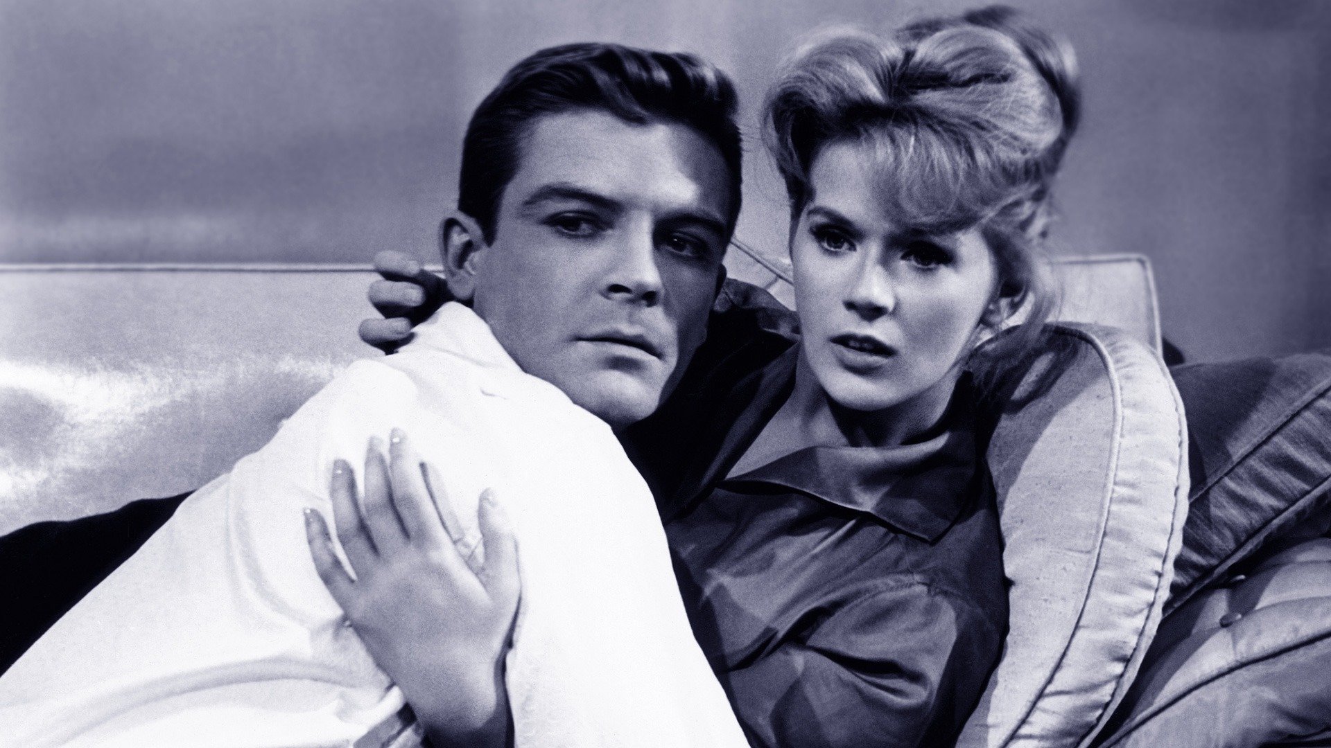 Susan Slade Photography