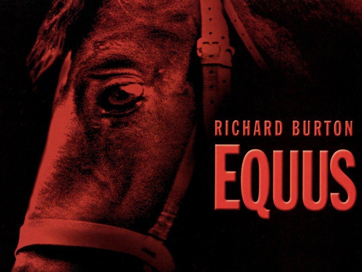 Equus (1977)
