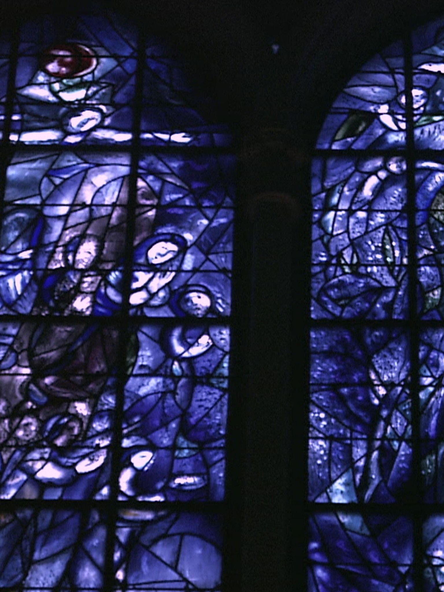 France's Champagne Region Pictures - Rotten Tomatoes