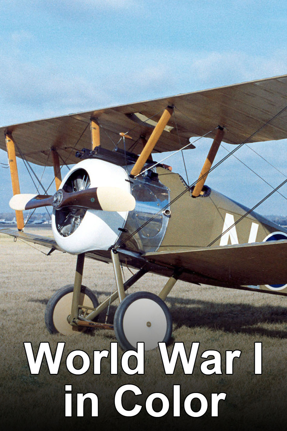 World War I in Color - Rotten Tomatoes