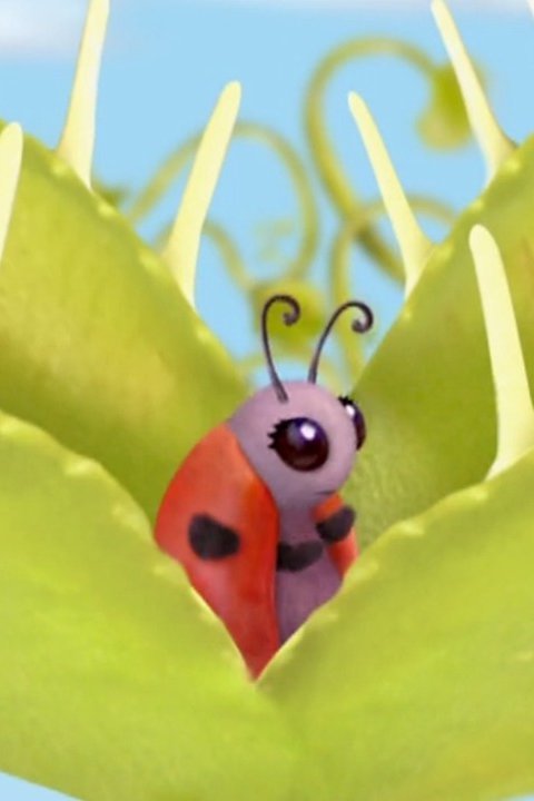 Save the Ladybug!; Save the Sea Turtle! Pictures - Rotten Tomatoes