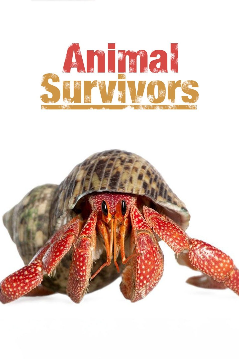 Animal Survivors - Rotten Tomatoes