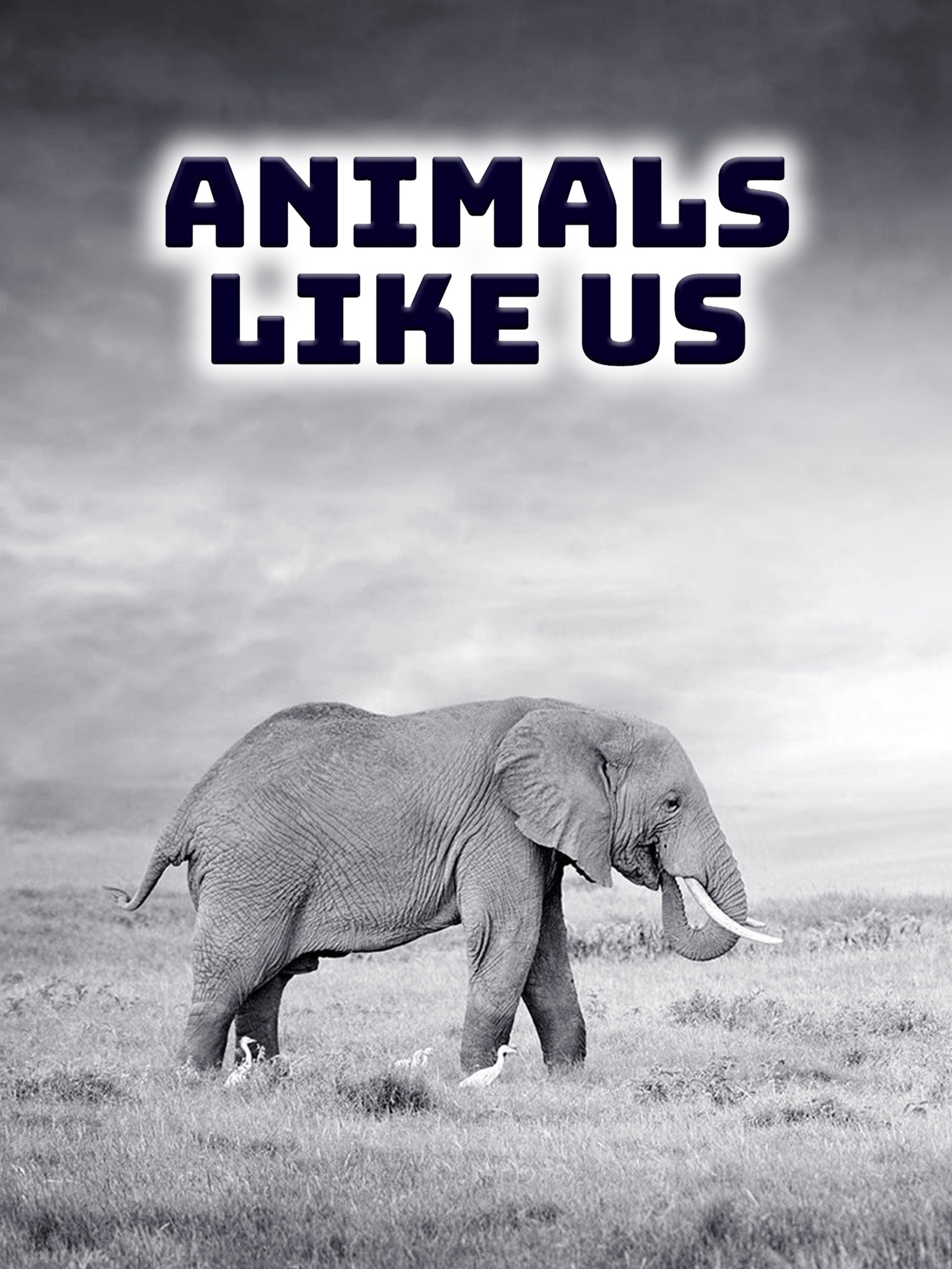 Animals Like Us - Rotten Tomatoes