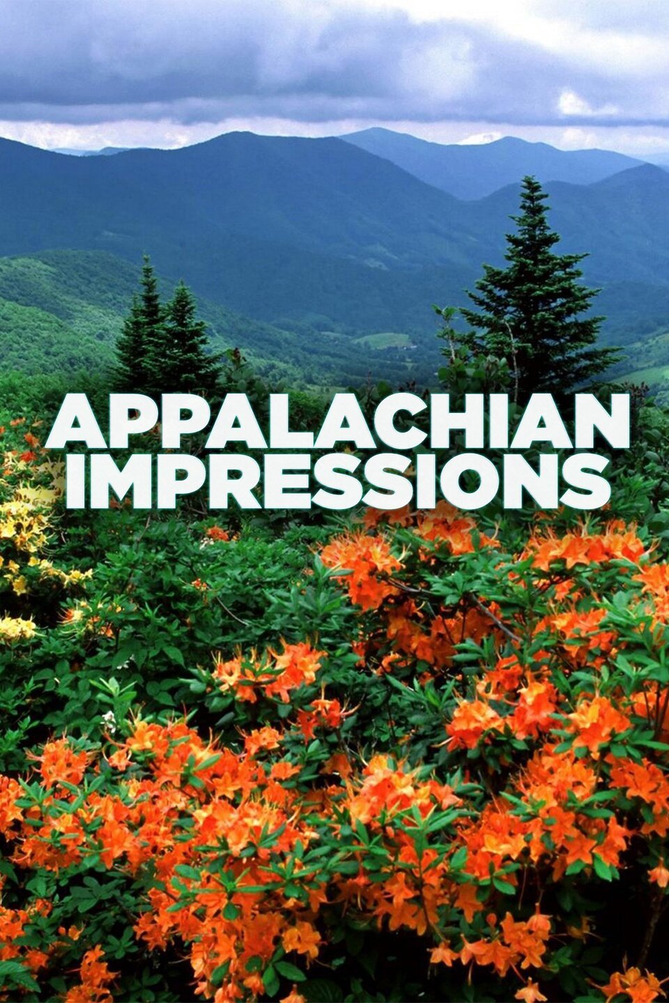 Appalachian Impressions - Rotten Tomatoes